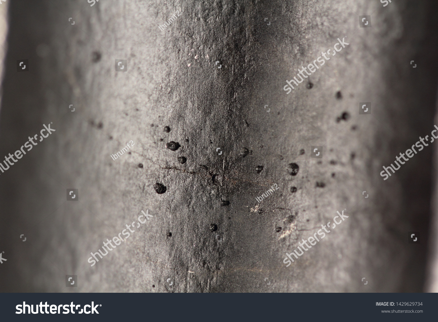 Chloride Stress Corrosion Cracking Pitting 316l: foto de stock (editar ... Chloride Stress Corrosion Cracking Pitting 316l: foto de stock (editar ...