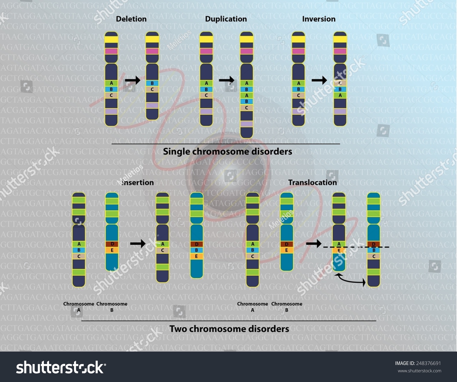 Chromosomal Abnormalities Stock Illustration 248376691 | Shutterstock Chromosomal Abnormalities Stock Illustration 248376691 | Shutterstock