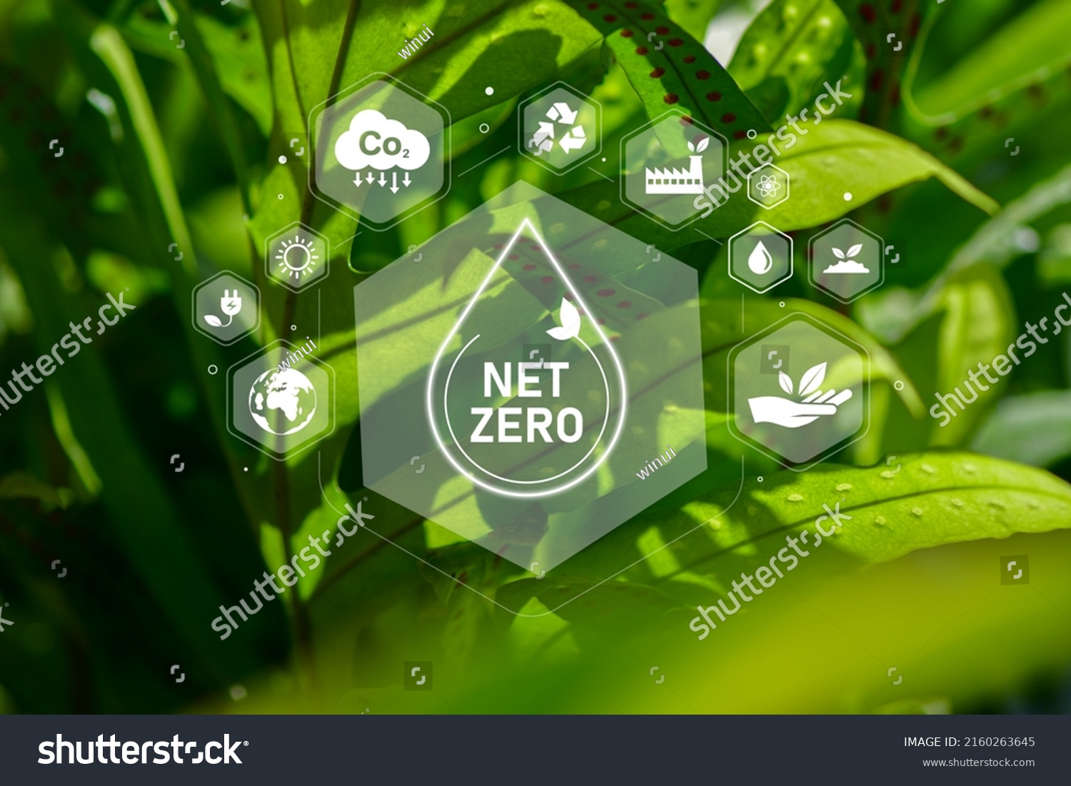 Co2 Netzero Emission Concept Concept Carbon Stock Photo 2160263645 ... Co2 Netzero Emission Concept Concept Carbon Stock Photo 2160263645 ...
