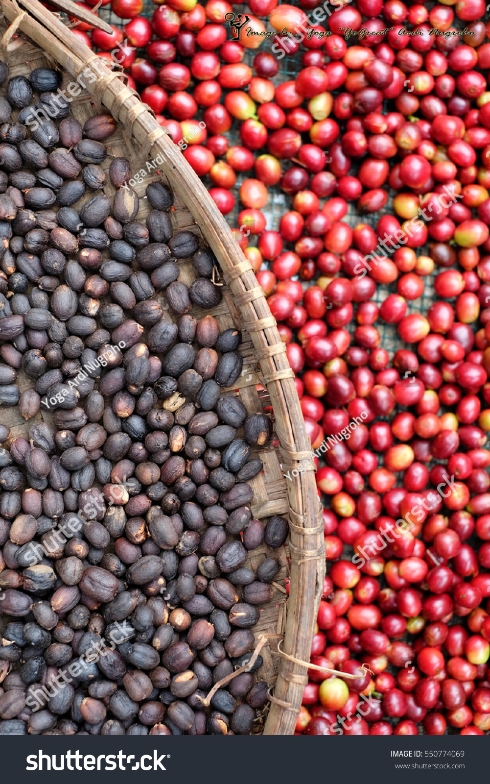 23,390 Coffee red cherry Images, Stock Photos & Vectors | Shutterstock