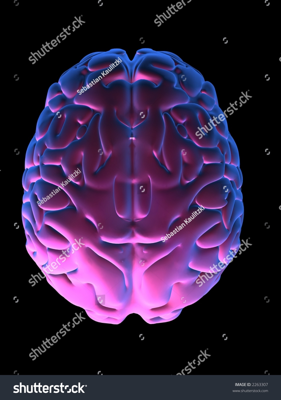 Colored Brain Stock Photo 2263307 : Shutterstock