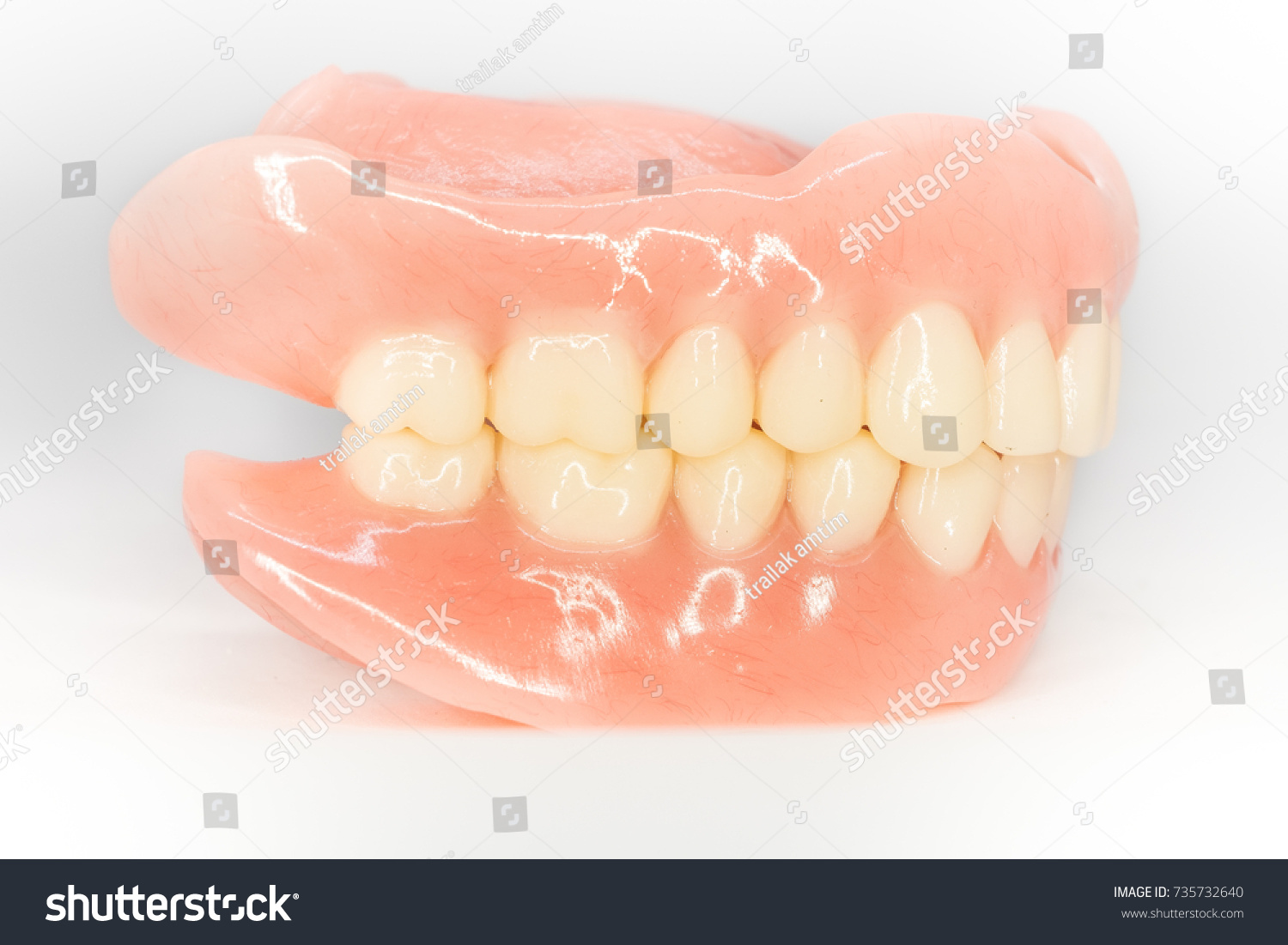 Completed Denture Side View Stock Photo (Edit Now) 735732640