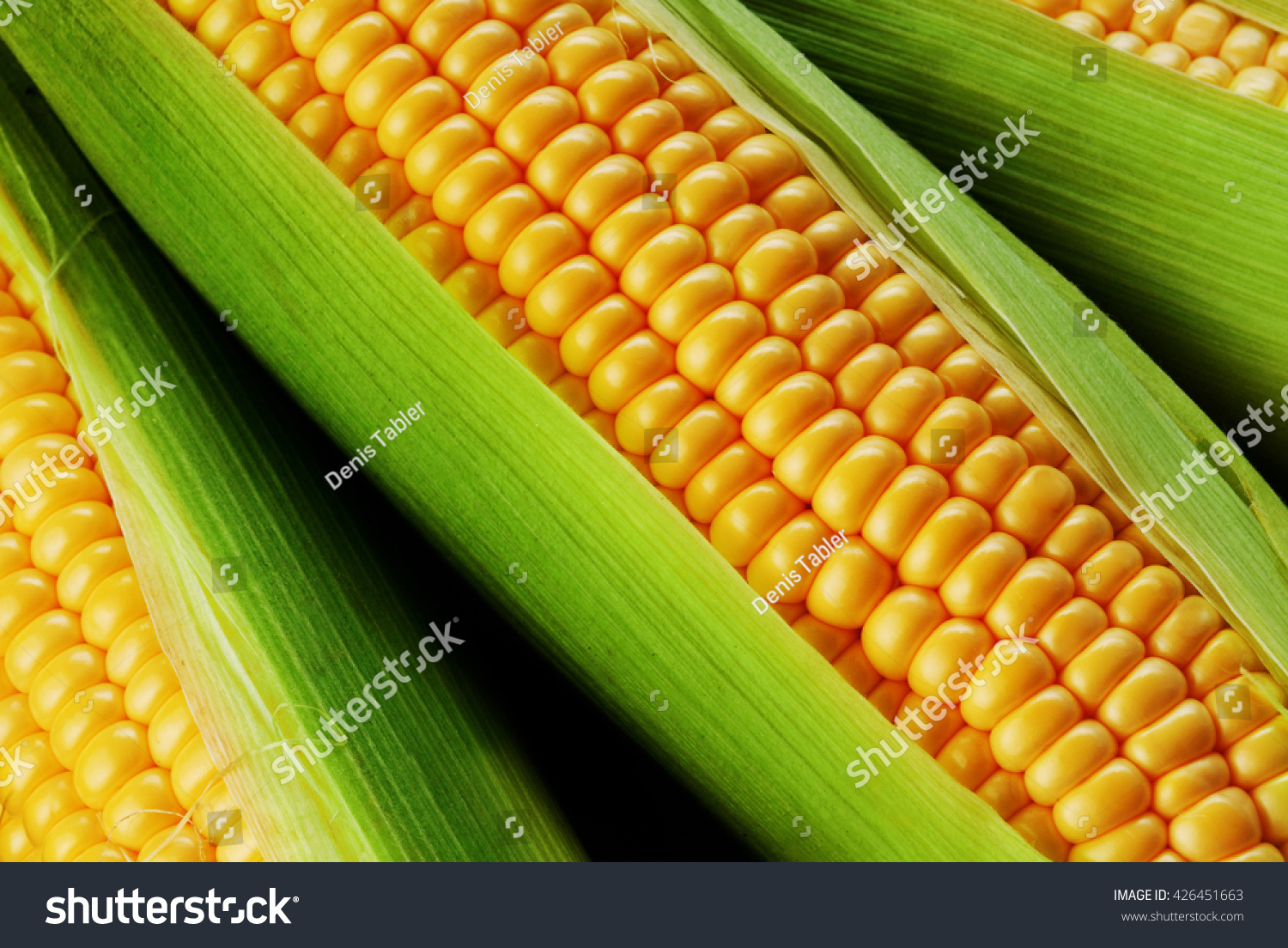 87,228 Corn cob closeup Images, Stock Photos & Vectors | Shutterstock