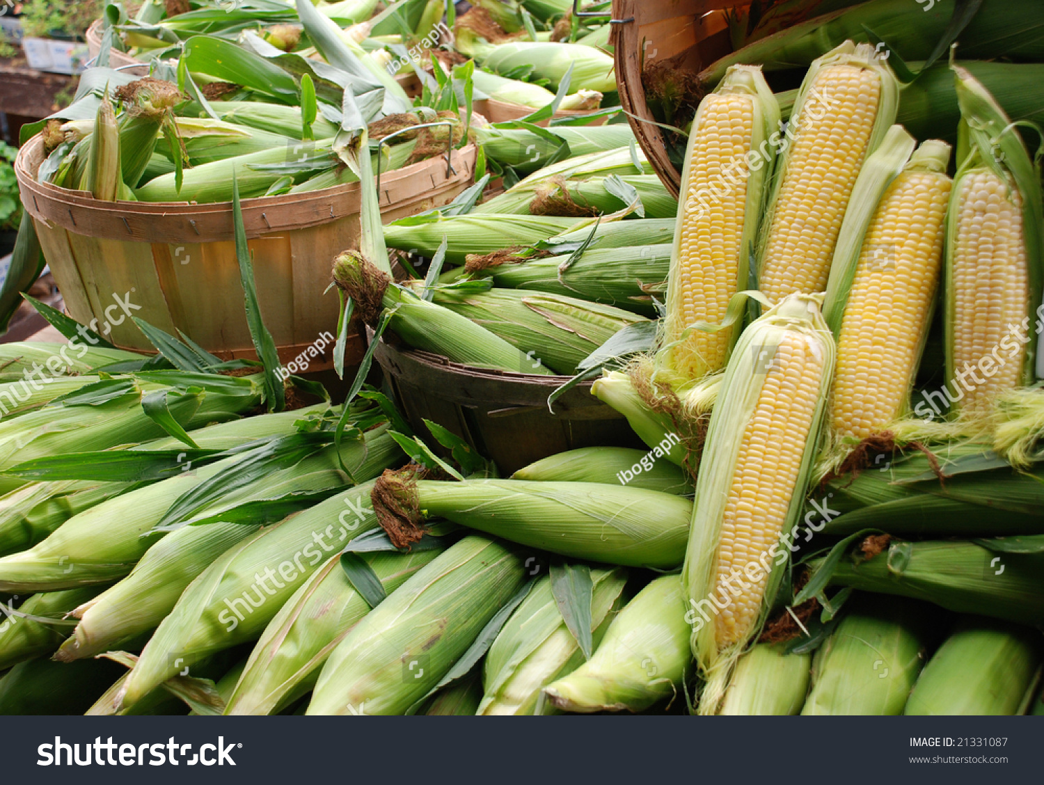Corn Display Stock Photo 21331087 - Shutterstock