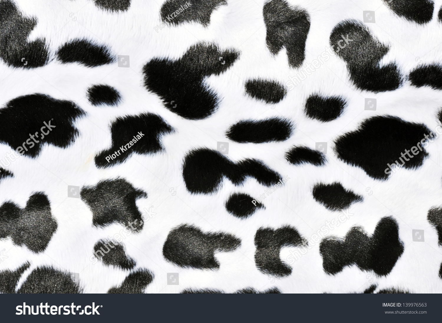 Cow Pattern Texture Background Stock Photo (Edit Now) 139976563