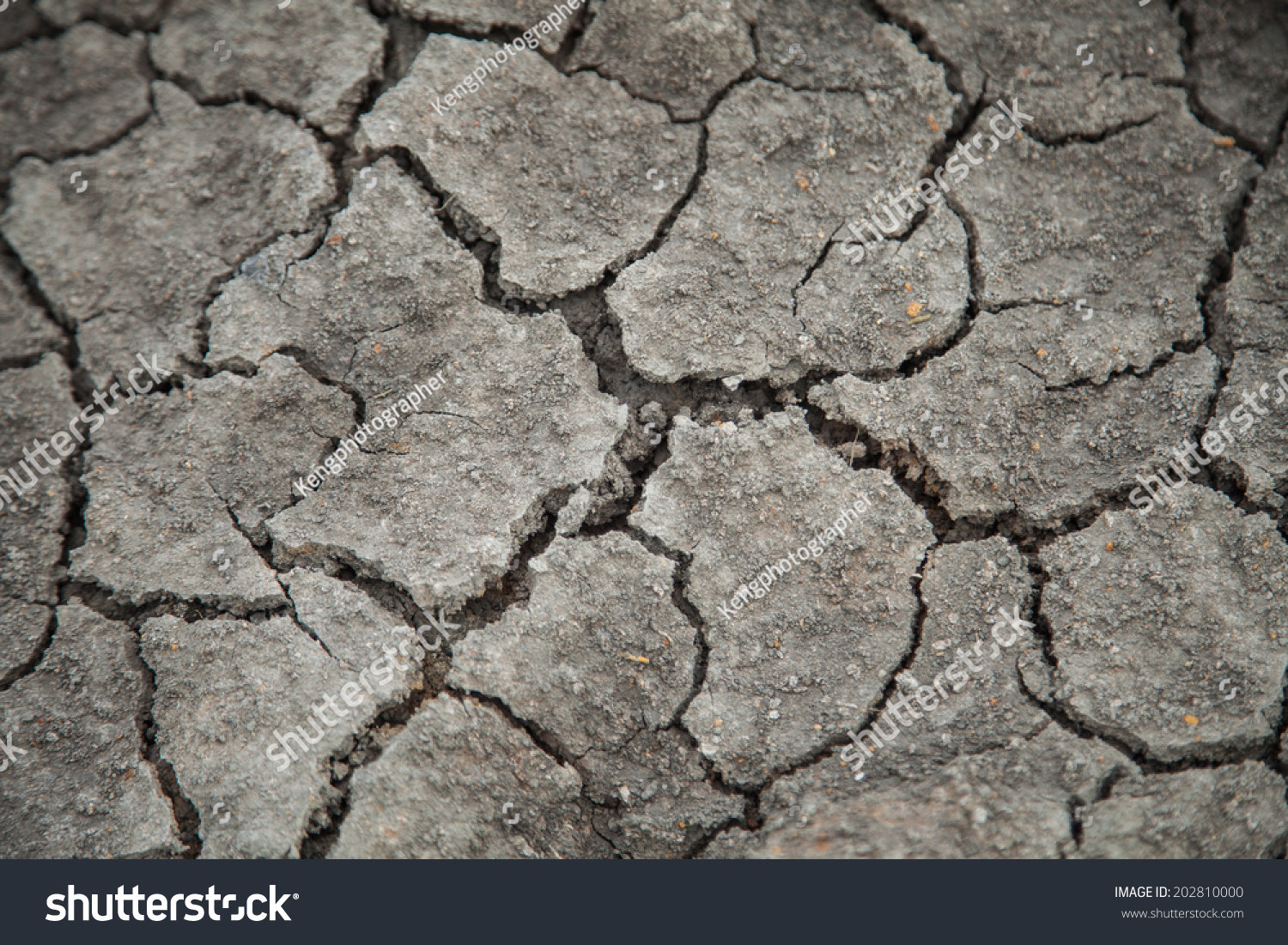 Cracked Ground Surface Seamless Pattern Texture Stock Photo 202810000 ...