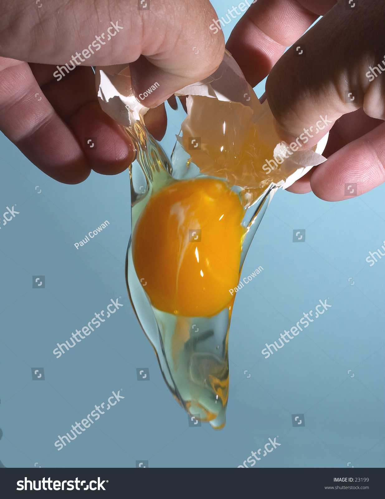 Cracking An Egg. Stock Photo 23199 : Shutterstock