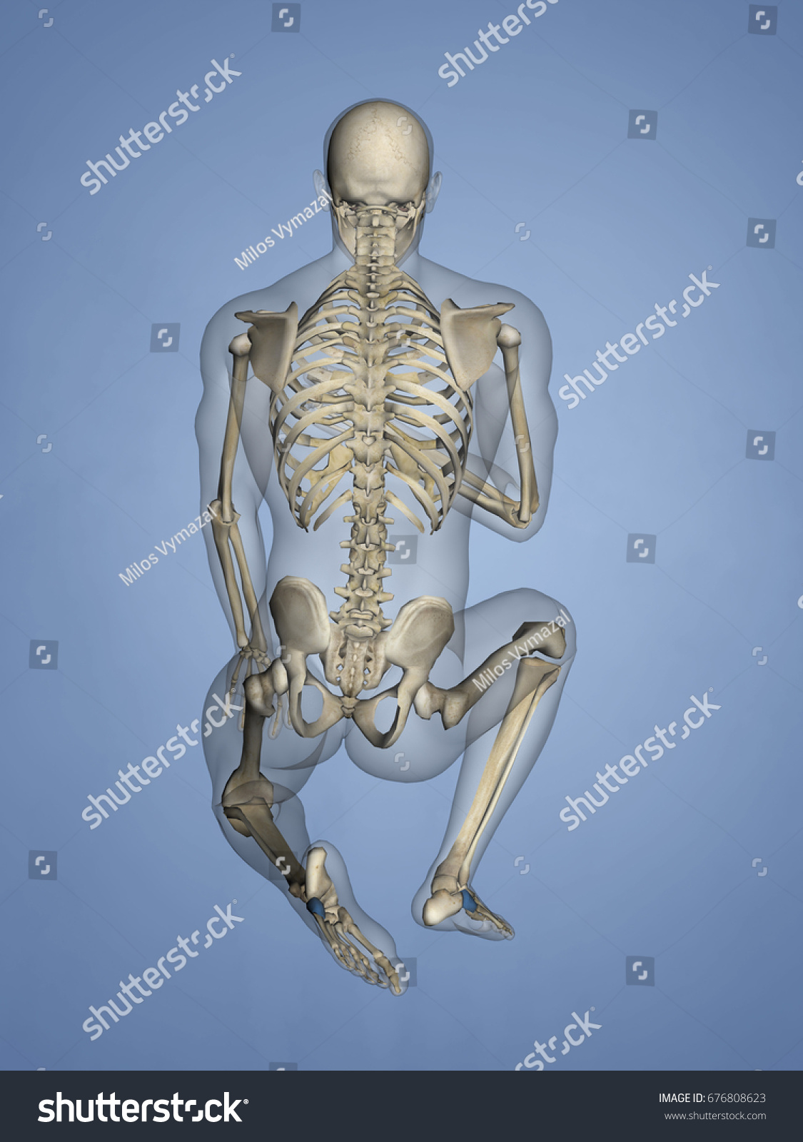 Cuboid Bone 3d Model Stock Illustration 676808623