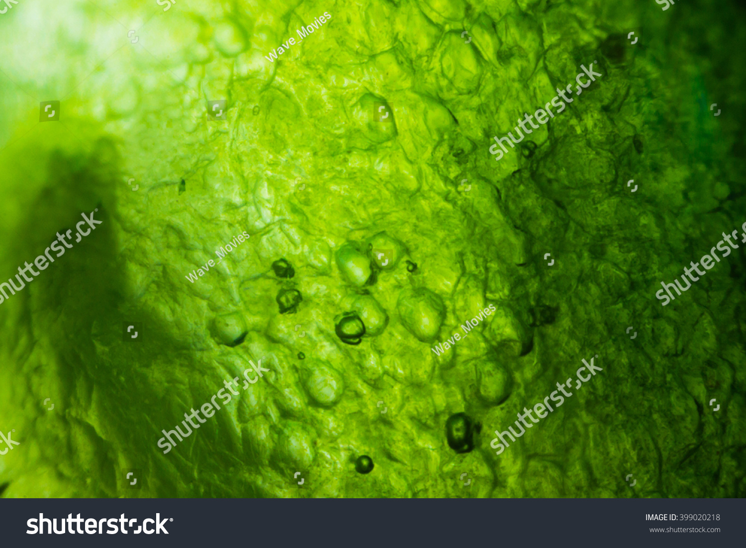 2,875 Food under the microscope Images, Stock Photos & Vectors ...