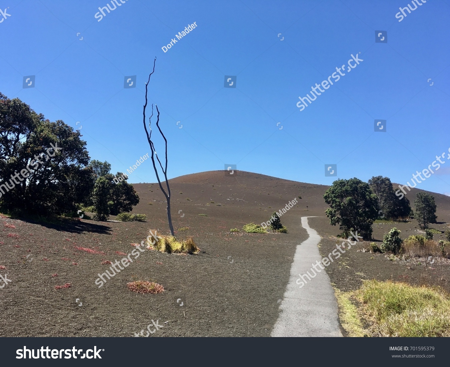 515 Devastation trail Images, Stock Photos & Vectors | Shutterstock