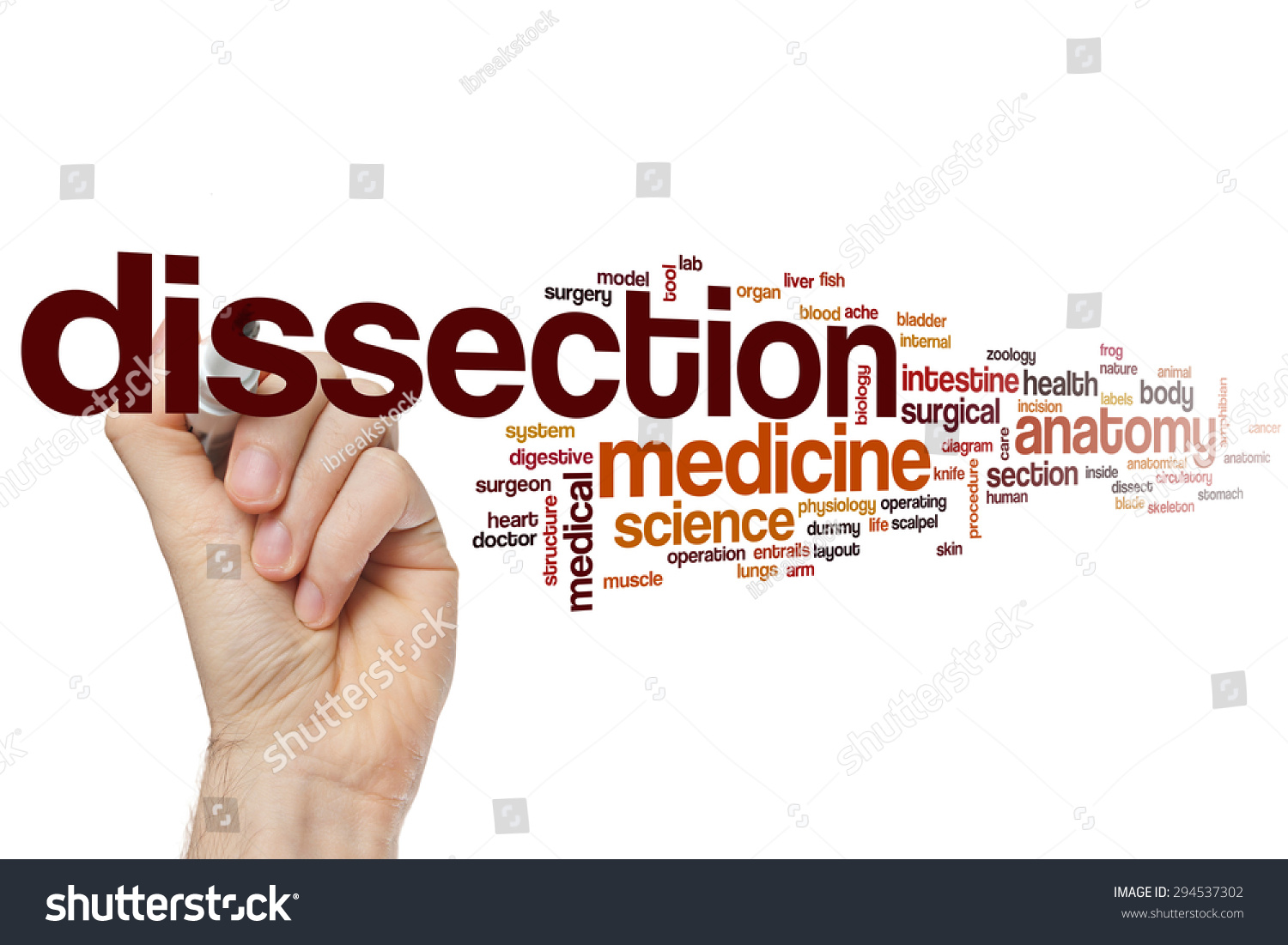 Dissection Word Cloud Concept Stock Photo 294537302 | Shutterstock