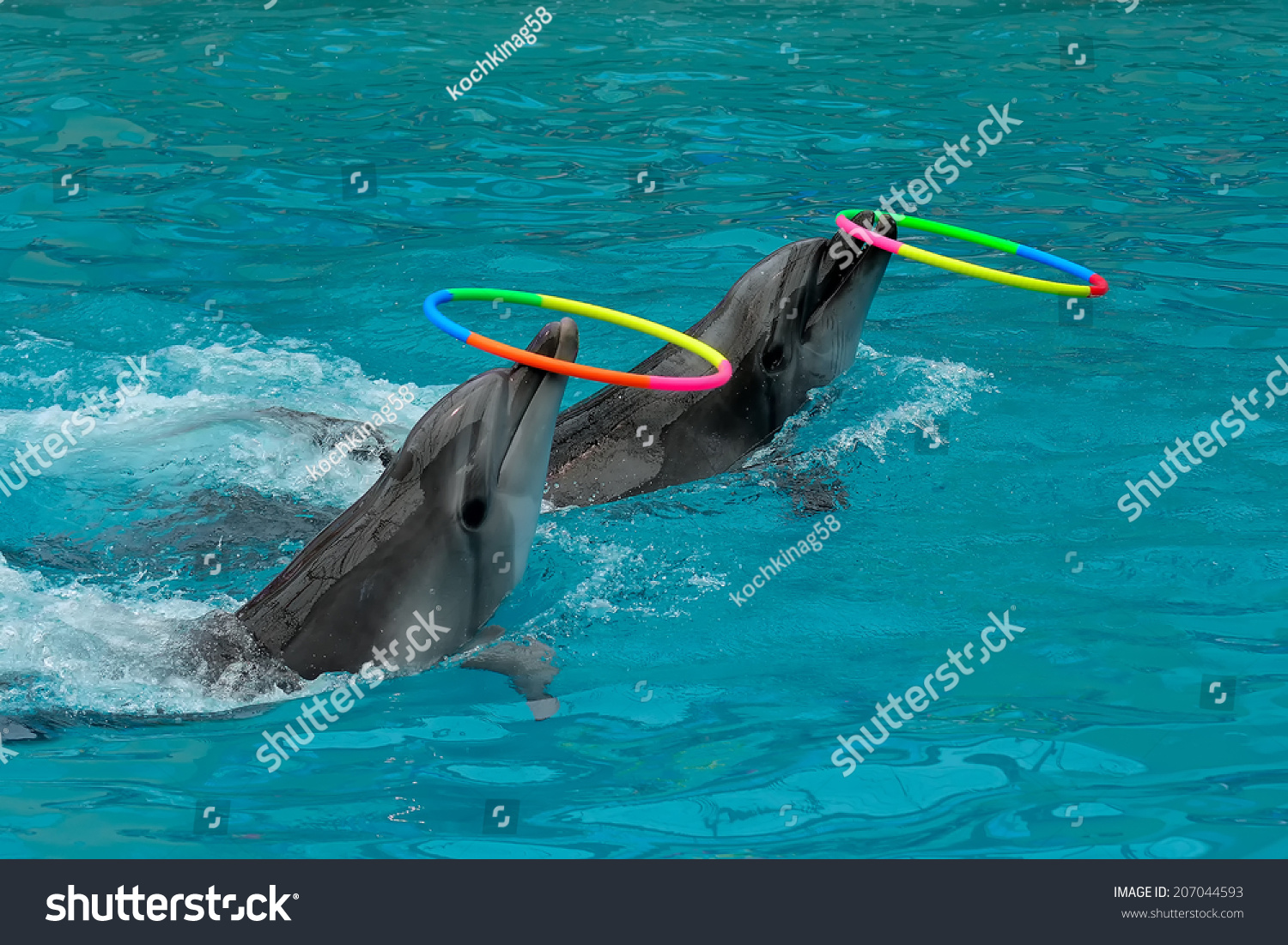 277 Dance dolphin show Images, Stock Photos & Vectors | Shutterstock