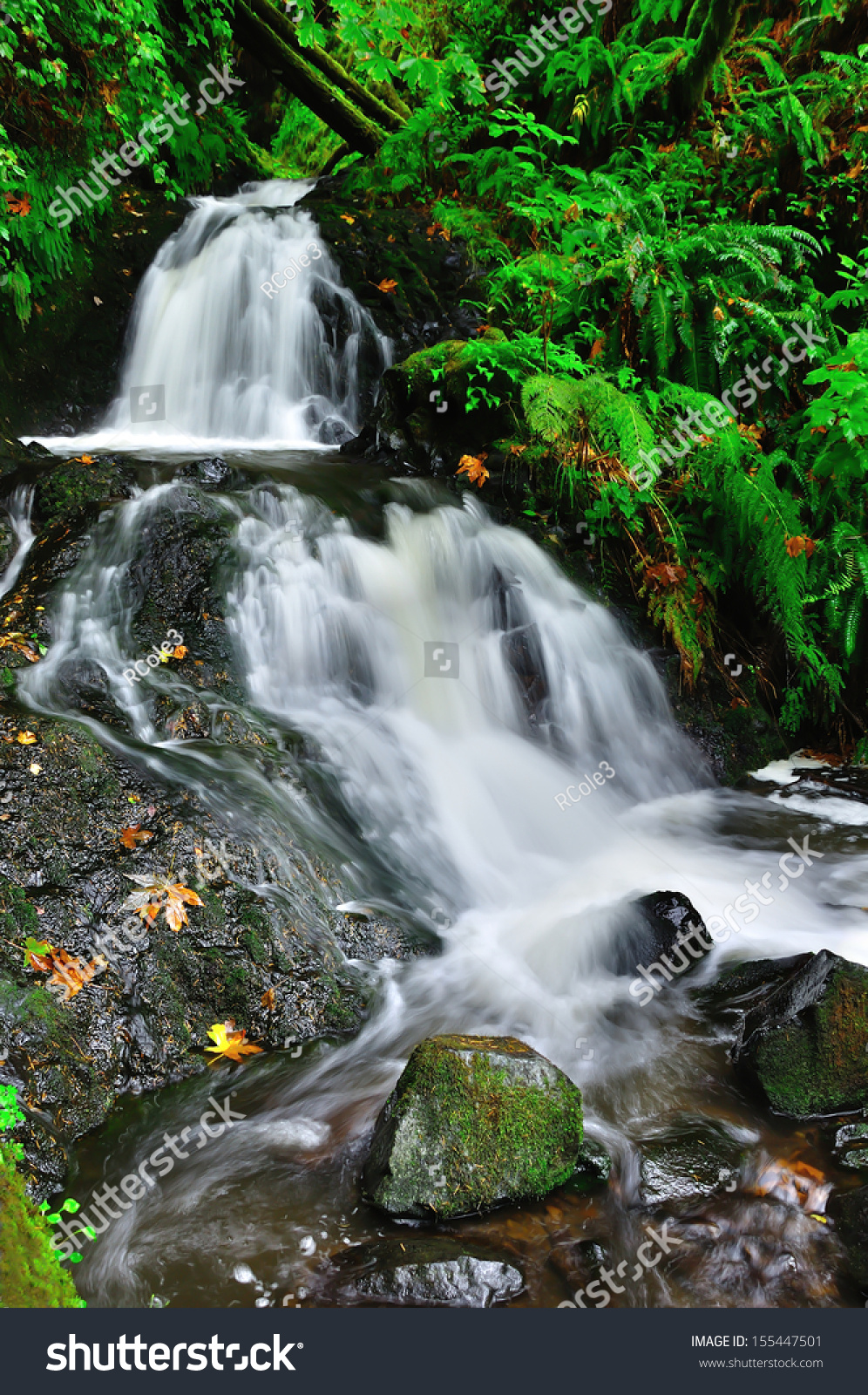 Double Level Waterfall Stock Photo 155447501 | Shutterstock