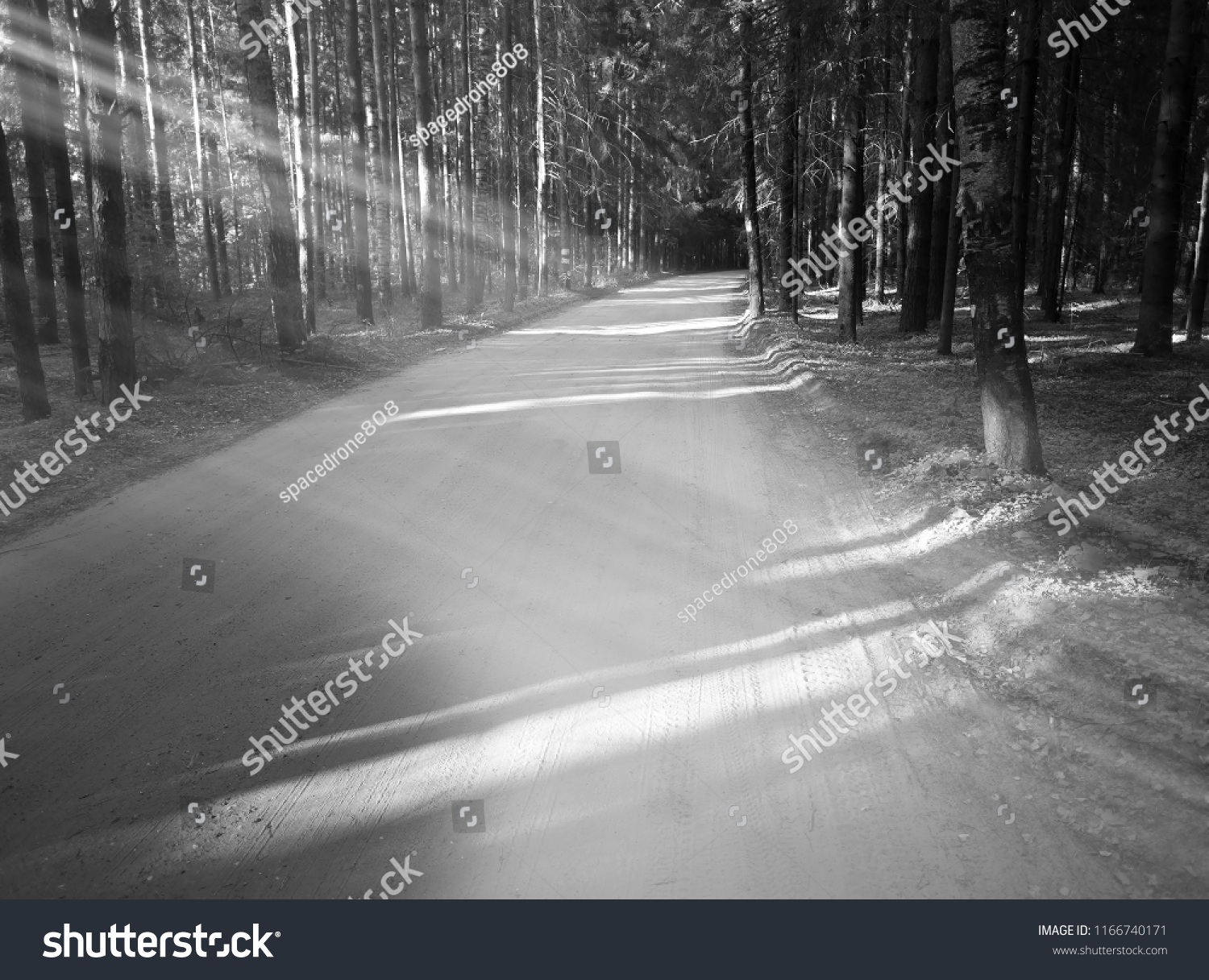 Dramatic Light Rays Forest Landscape Background Stock Photo 1166740171 ...