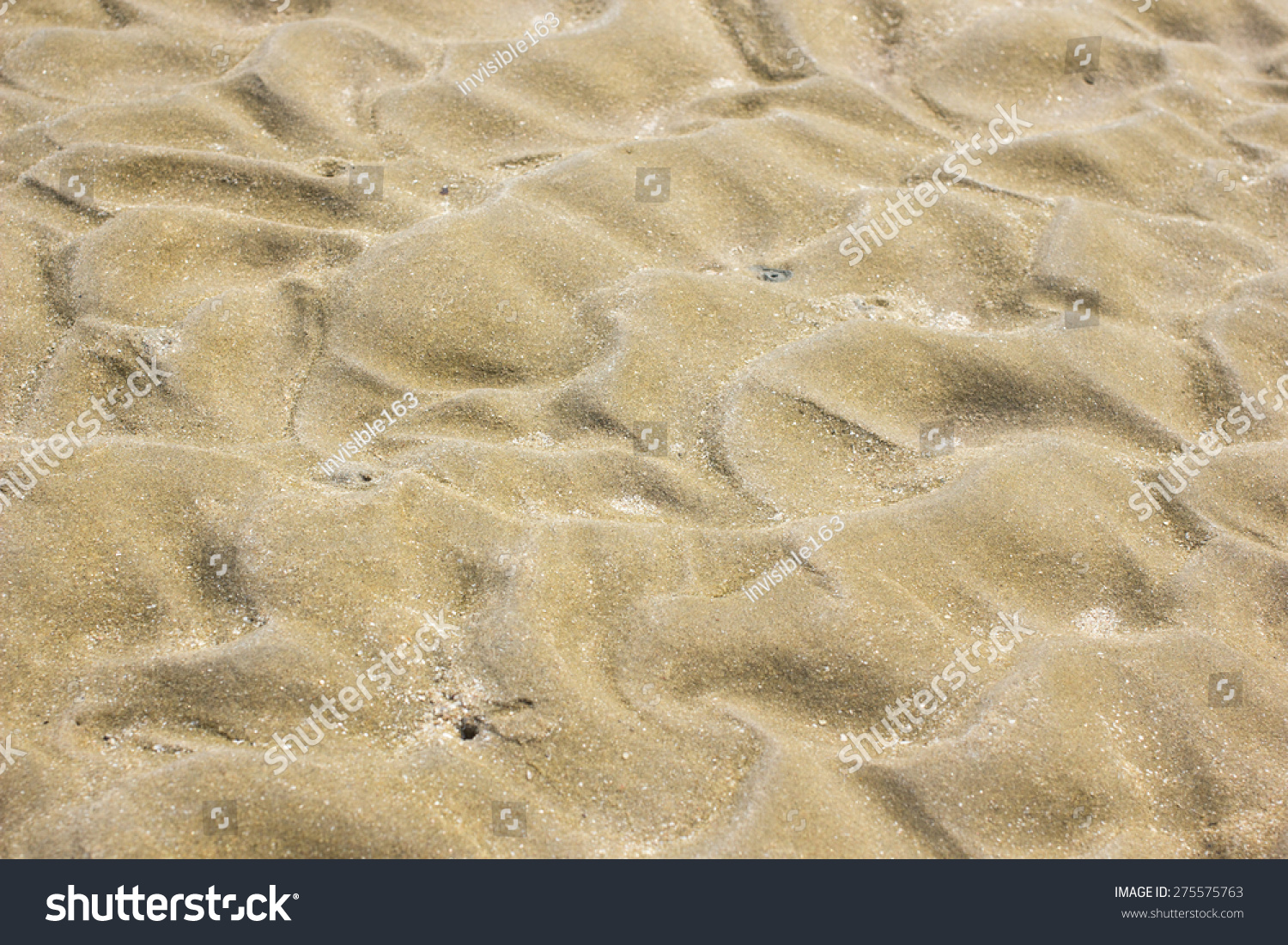 Dynamic Shape Sand Texture Stock Photo 275575763 | Shutterstock