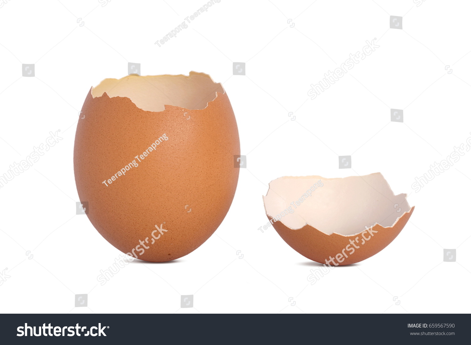 Eggshell On White Background Stock Photo 659567590 | Shutterstock