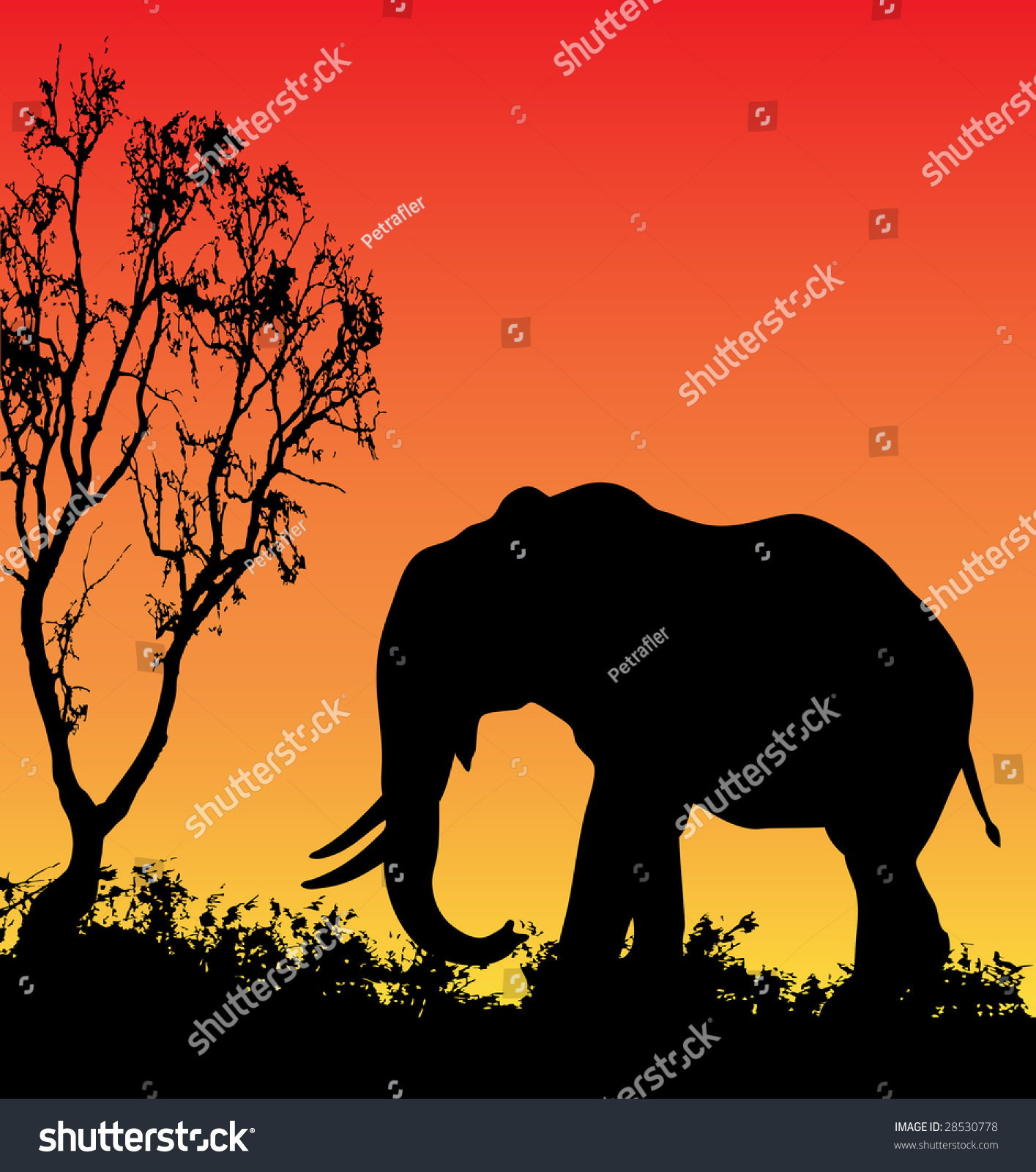Elephant Sunset Bitmap Background Stock Illustration 28530778 ...