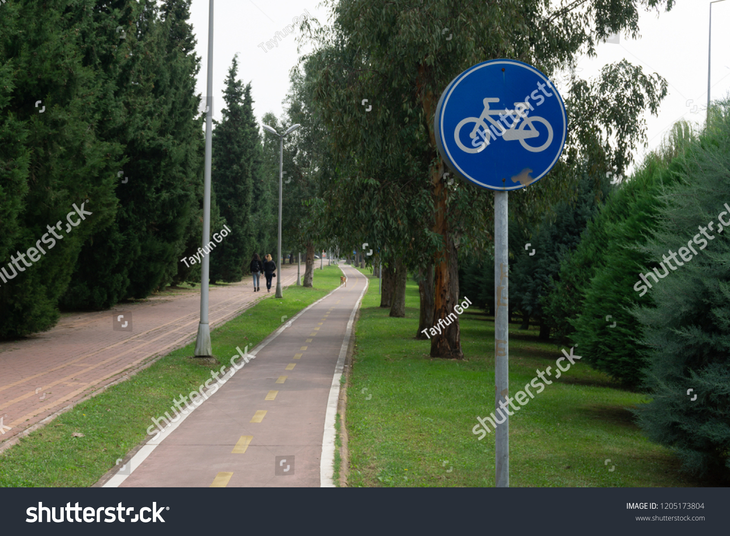 Empty Bicycle Path Stock Photo 1205173804 | Shutterstock