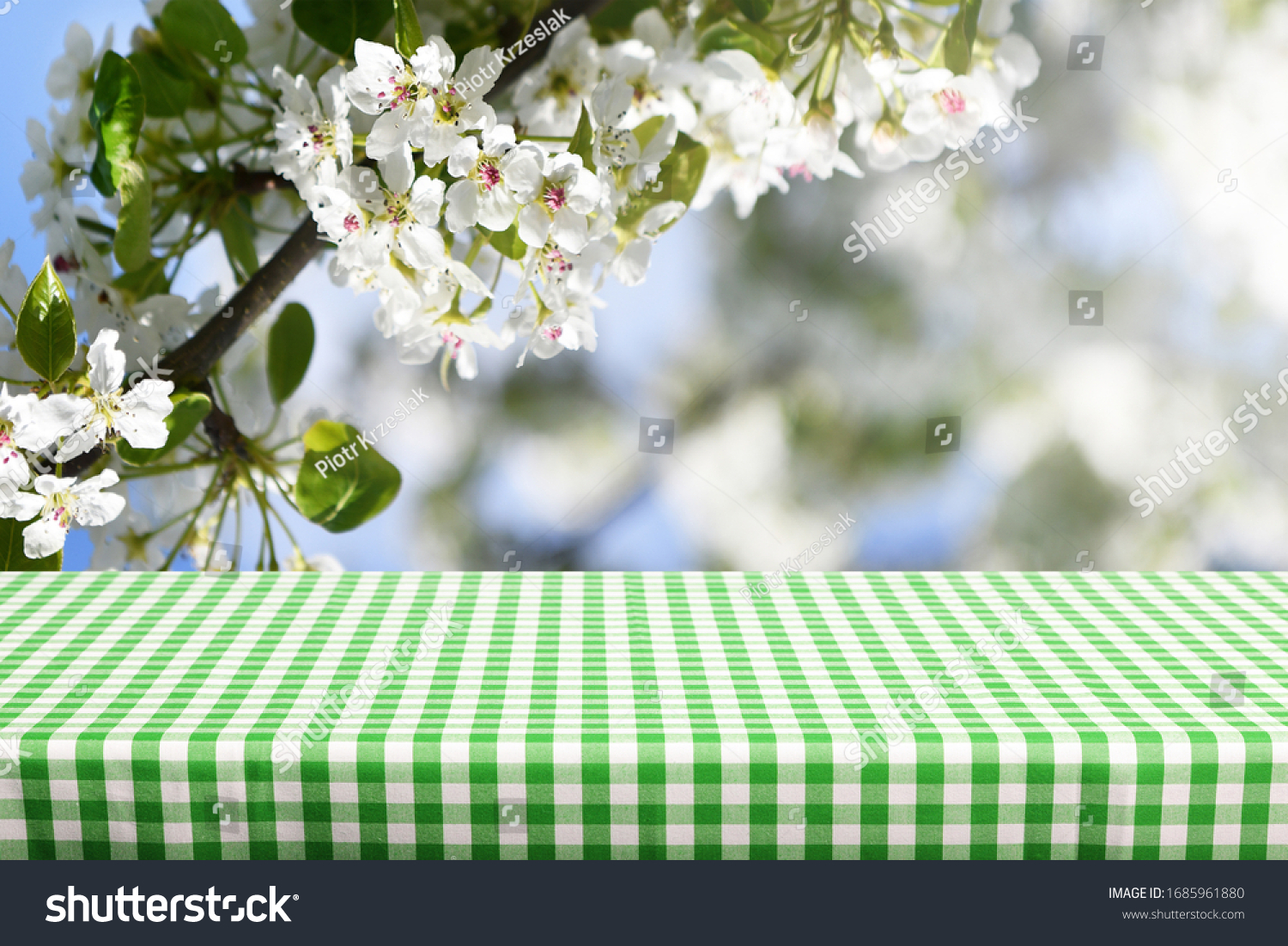 Empty Checkered Vintage Table Background Stock Photo 1685961880 ...