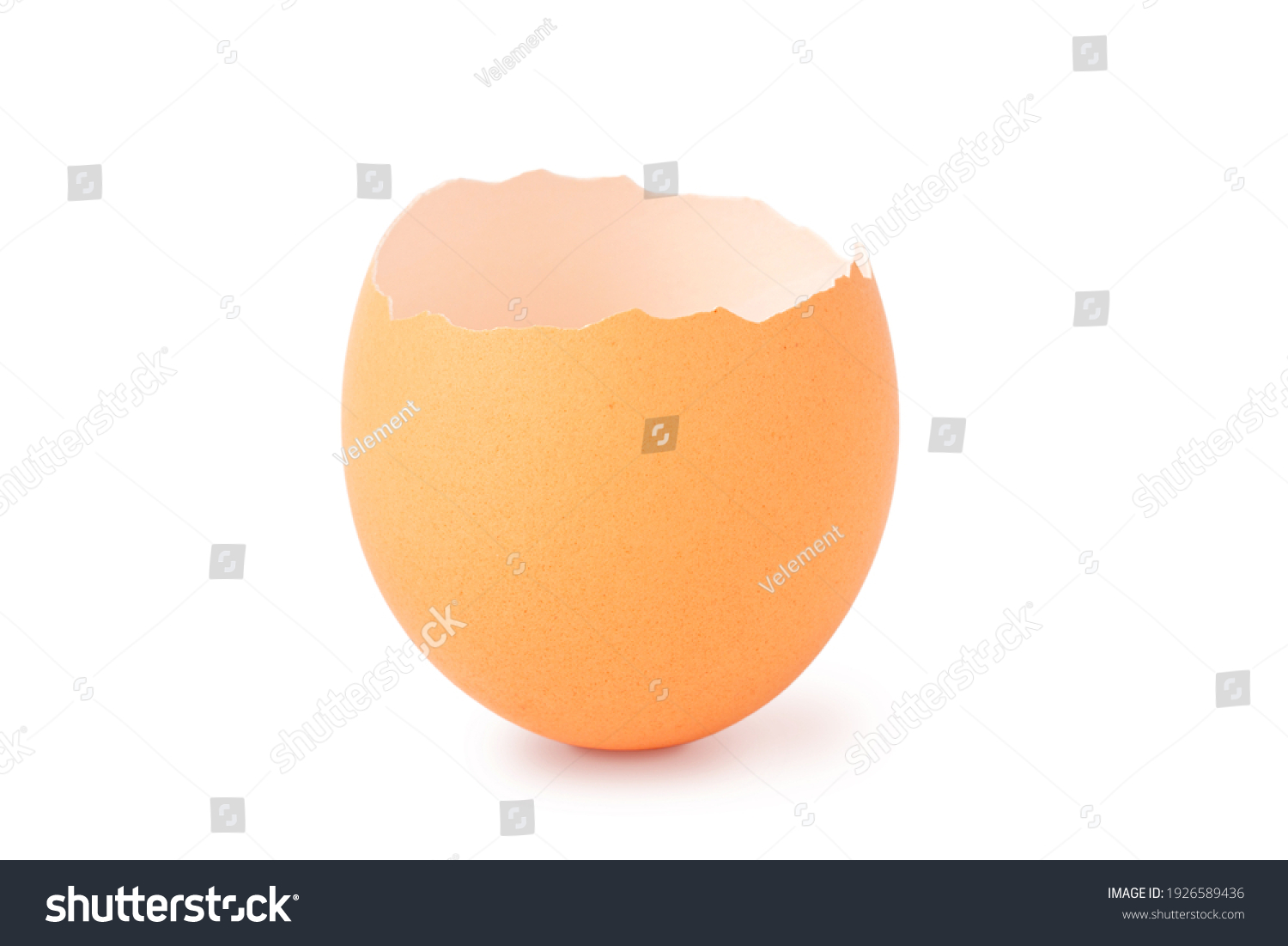 Empty Egg Shell Isolated On White Stock Photo (Edit Now) 1926589436