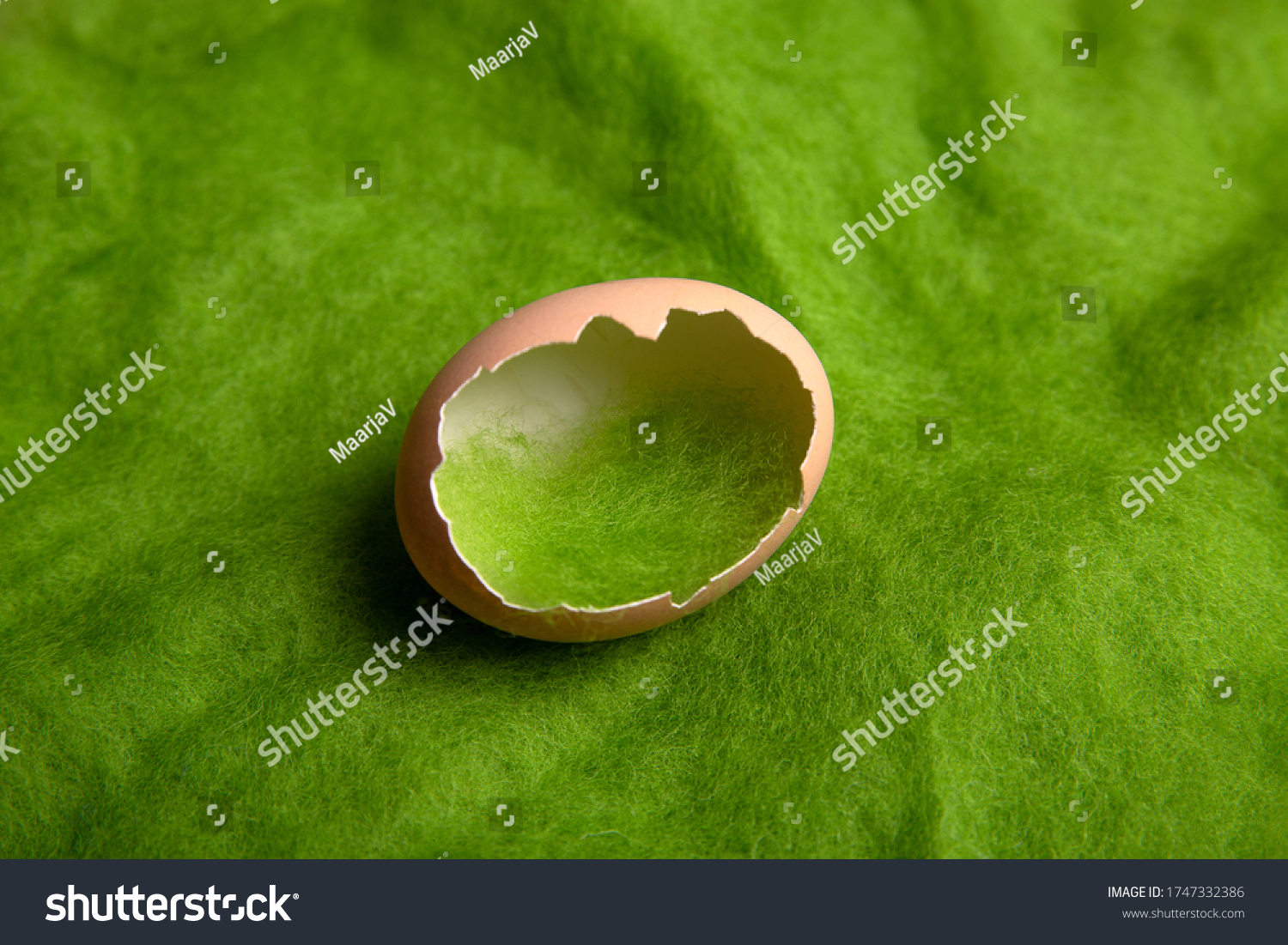 Empty Egg Shell Newborn Digital Backdrop Stock Photo (Edit Now ...