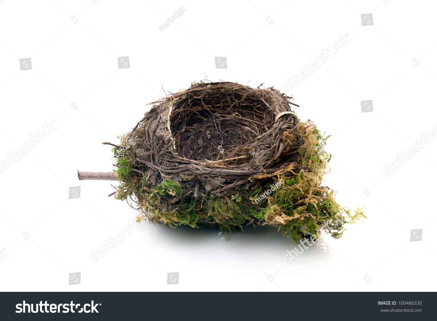Empty Nest Stock Photo (Edit Now) 100486330 - Shutterstock