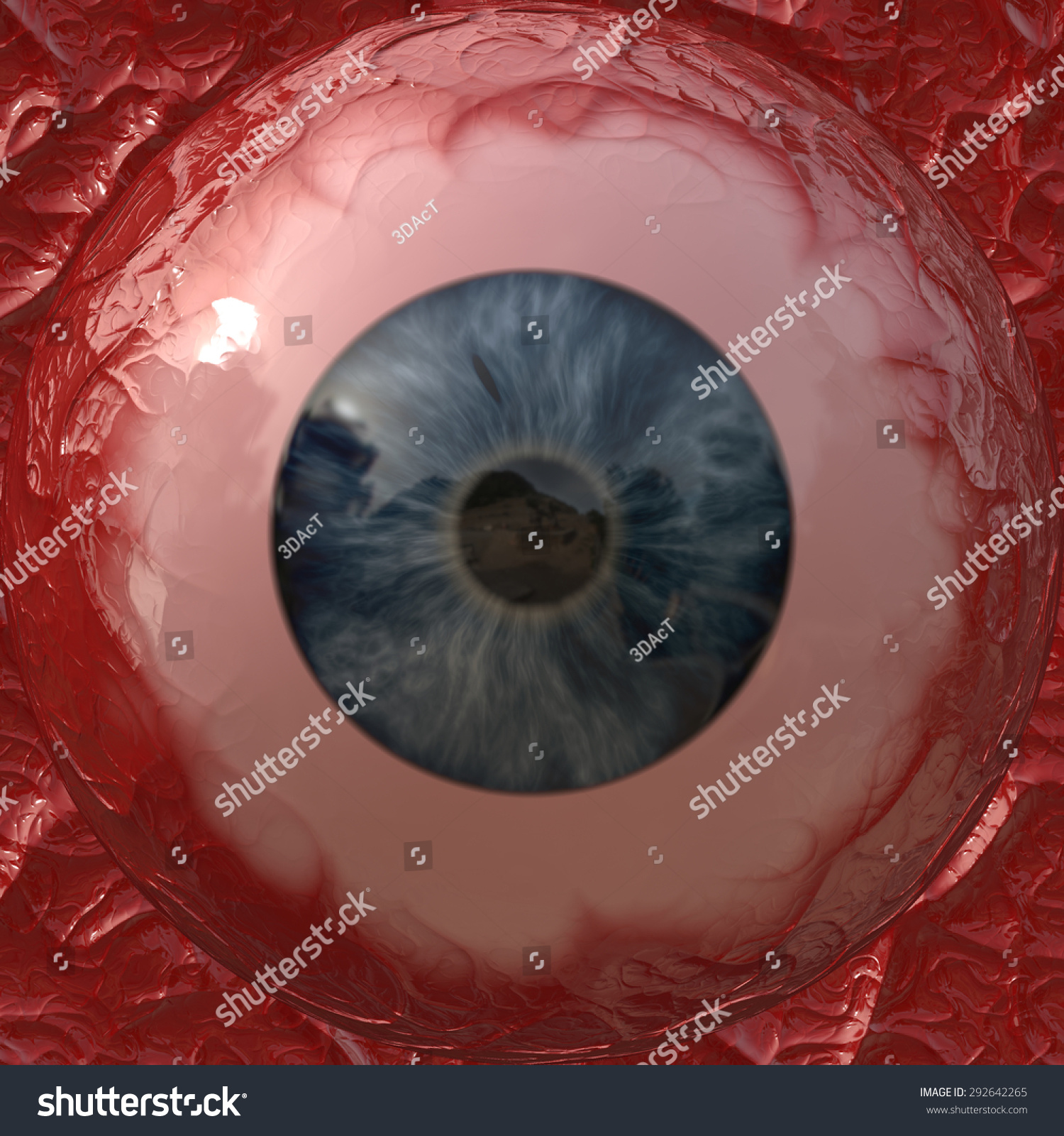 Eye Texture Stock Illustration 292642265 | Shutterstock