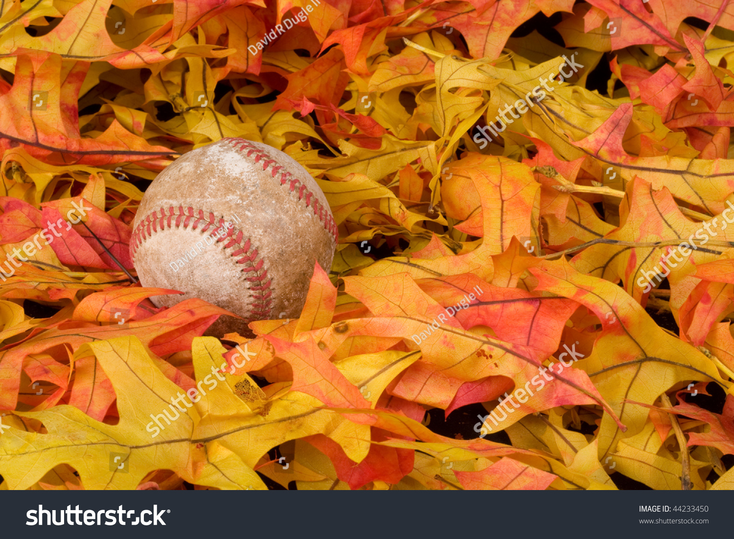 2,486 imágenes de Fall baseball - Imágenes, fotos y vectores de stock ...