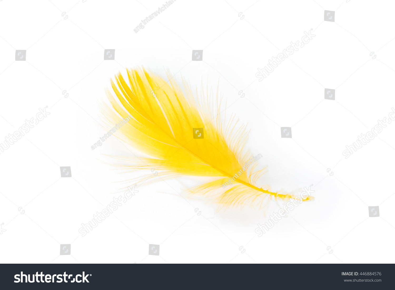 Feather Yellow Texture Pattern Abstract Soft Stock Photo 446884576 ...