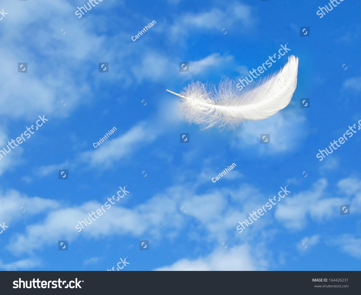 Floating Feather Stock Photo 164426231 | Shutterstock