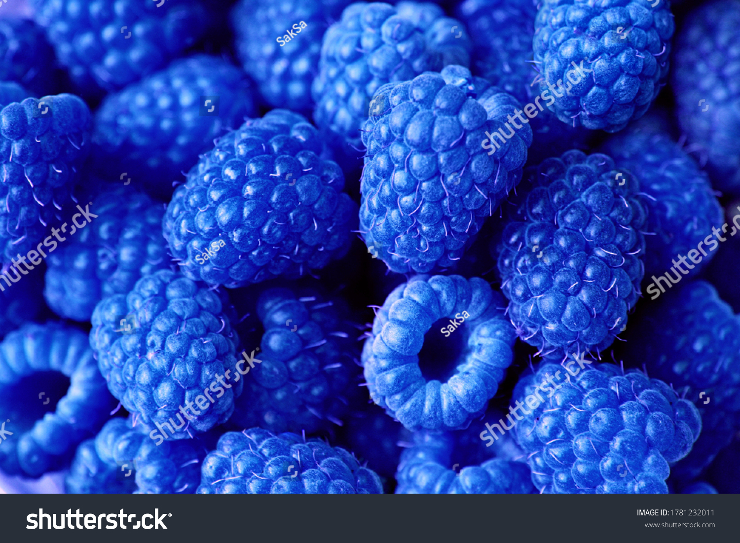 Fresh Sweet Blue Raspberry Texture Pattern Stock Photo 1781232011 ...