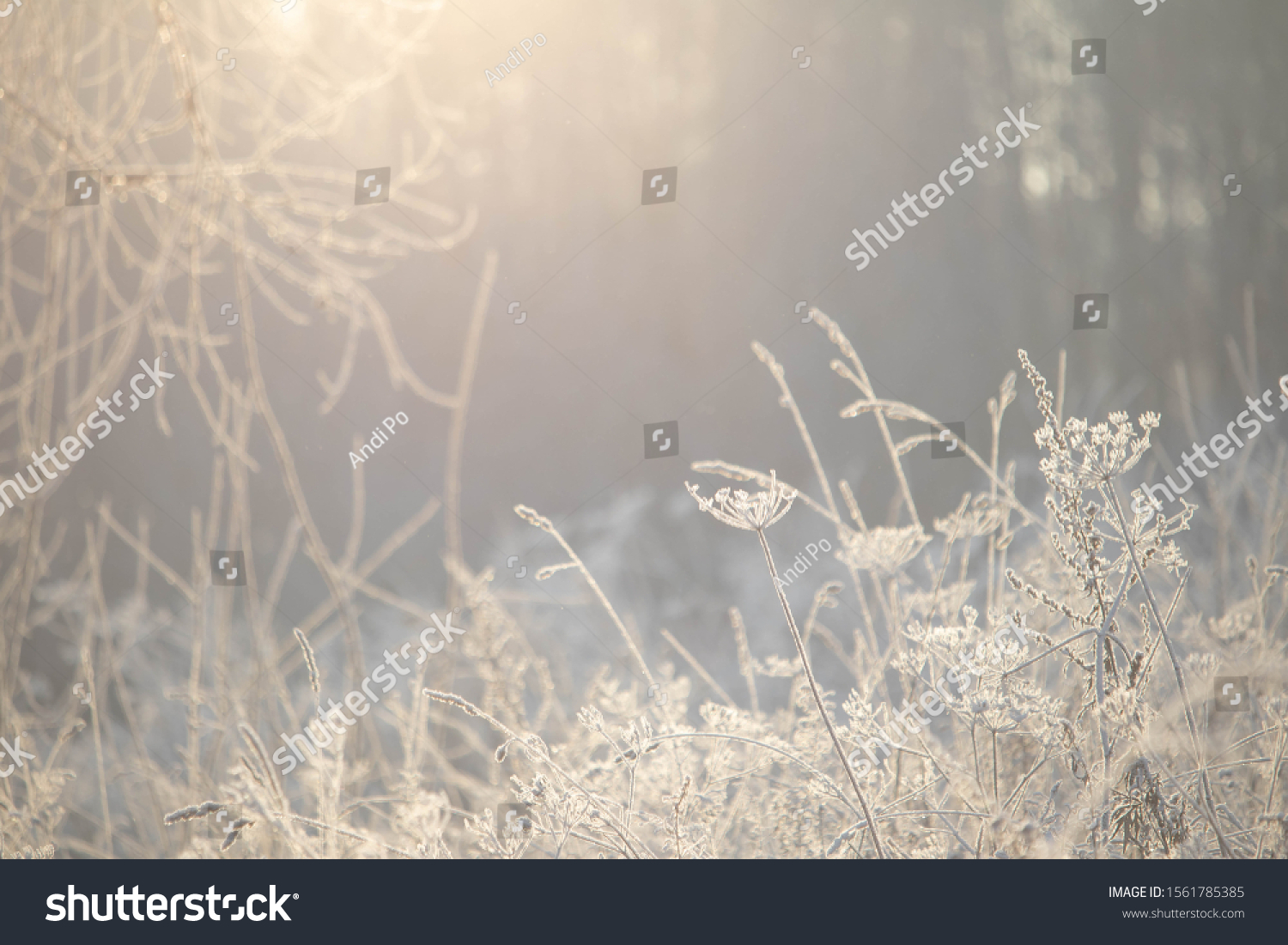 Frosty-morning Images, Stock Photos & Vectors | Shutterstock