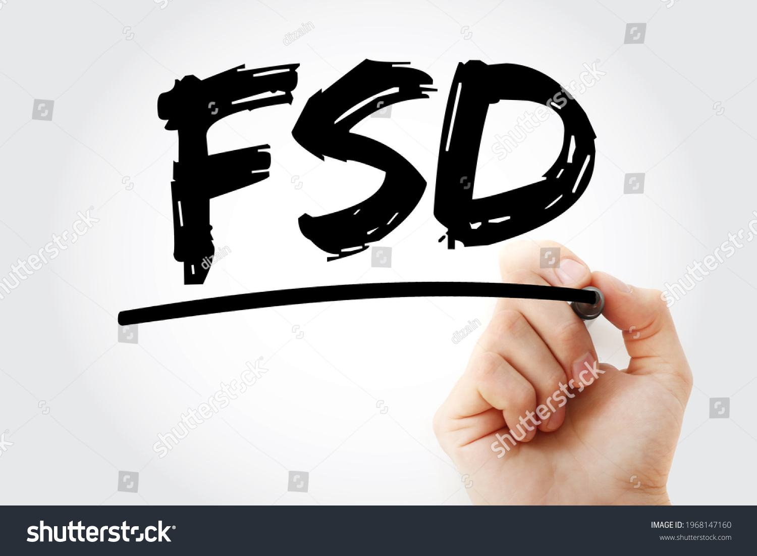 Fsd Functional Specifications Document Document That Stock Photo ...