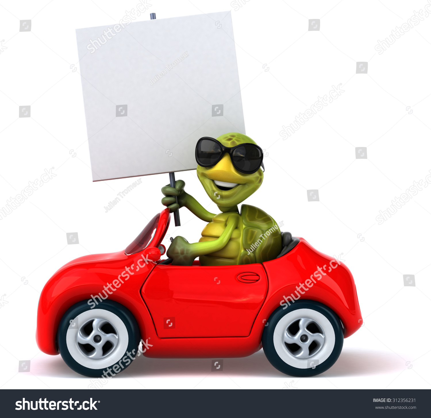 959 Turtle driving Images, Stock Photos & Vectors | Shutterstock