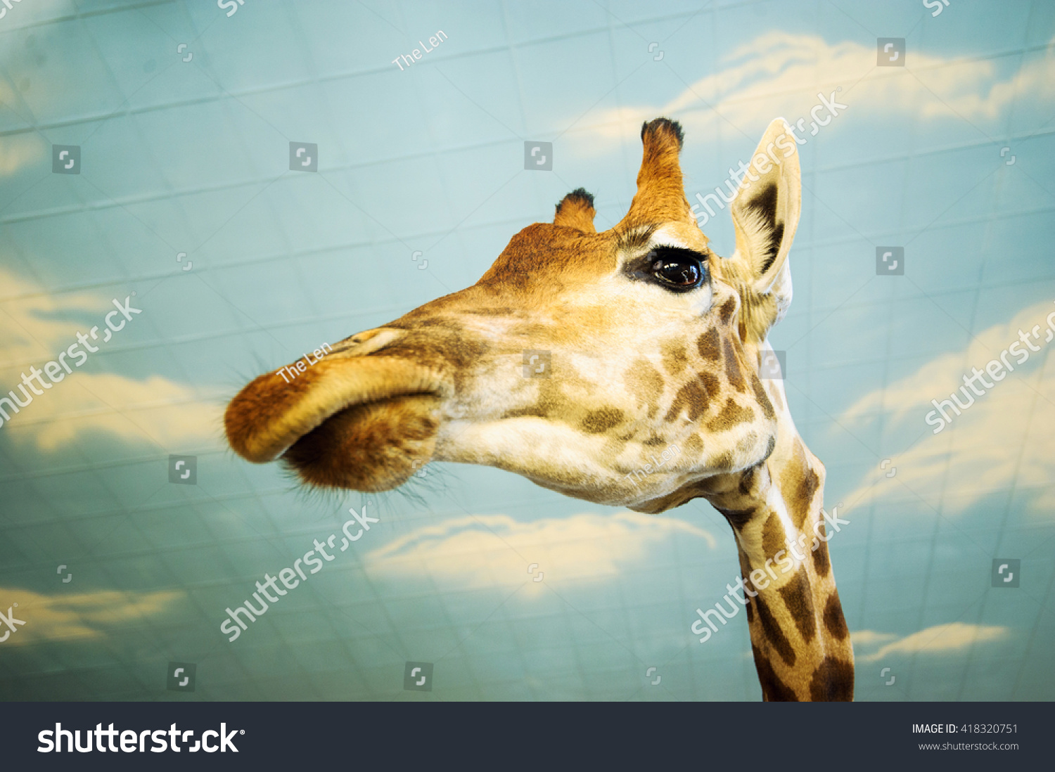 Giraffe Stock Photo (Edit Now) 418320751