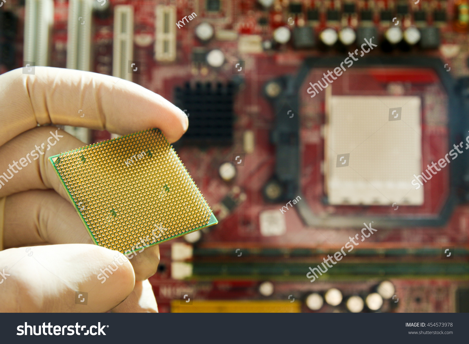 Gloved Hand Holding Microprocessor Chip Stock Photo 454573978 ...
