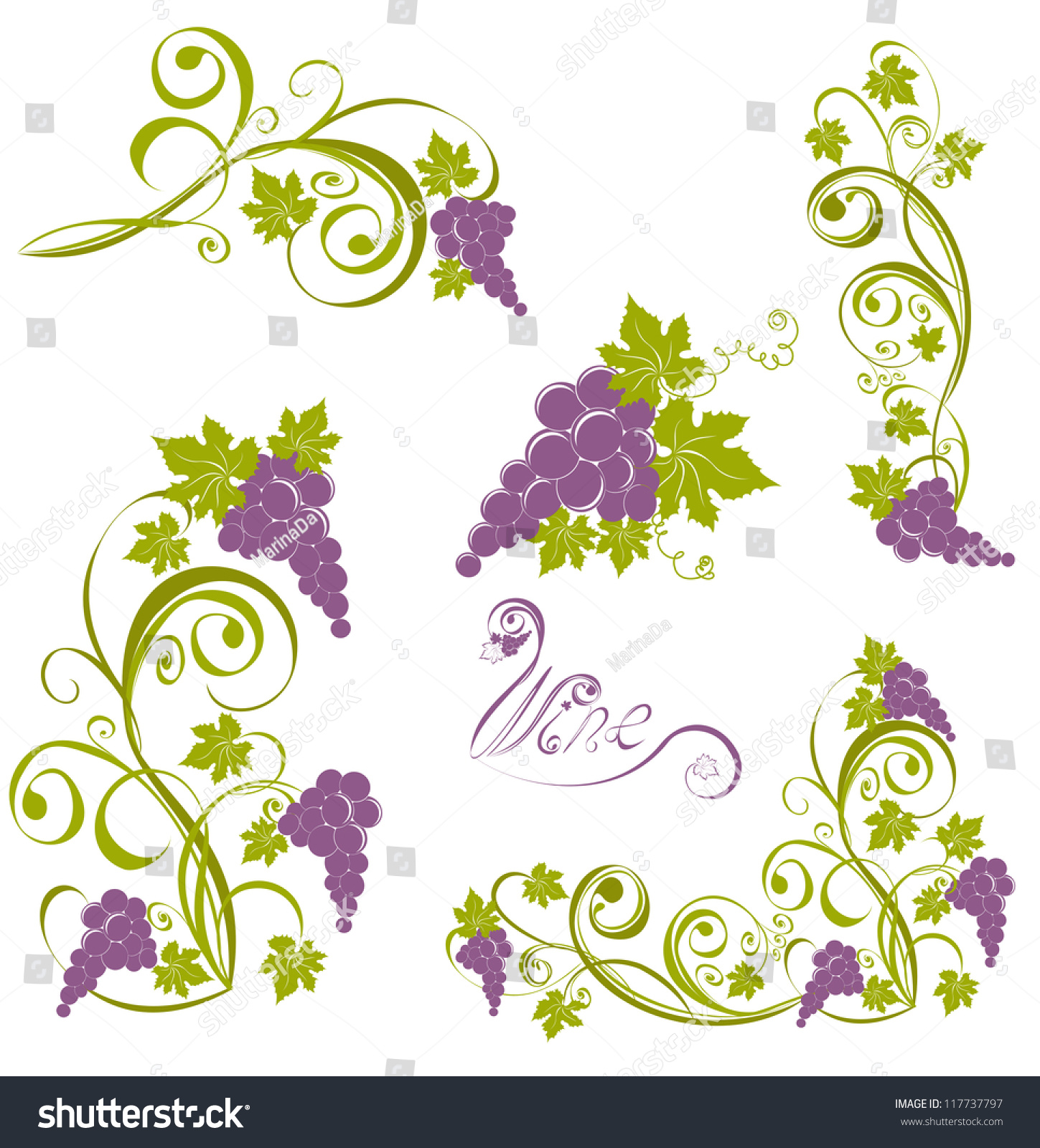 Grapevine Wine Design Elements Stock Illustration 117737797