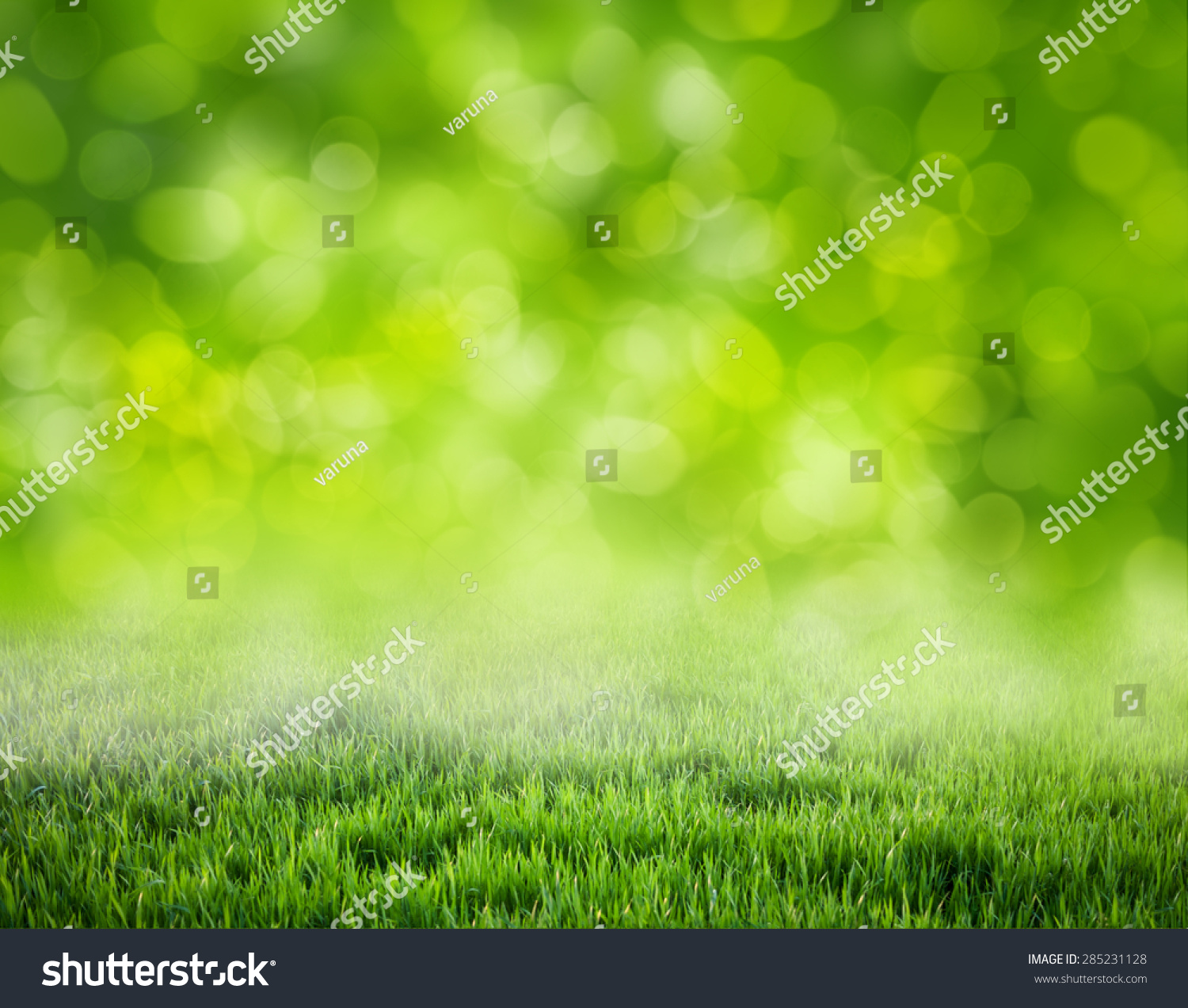 Grass Background Stock Photo 285231128 | Shutterstock