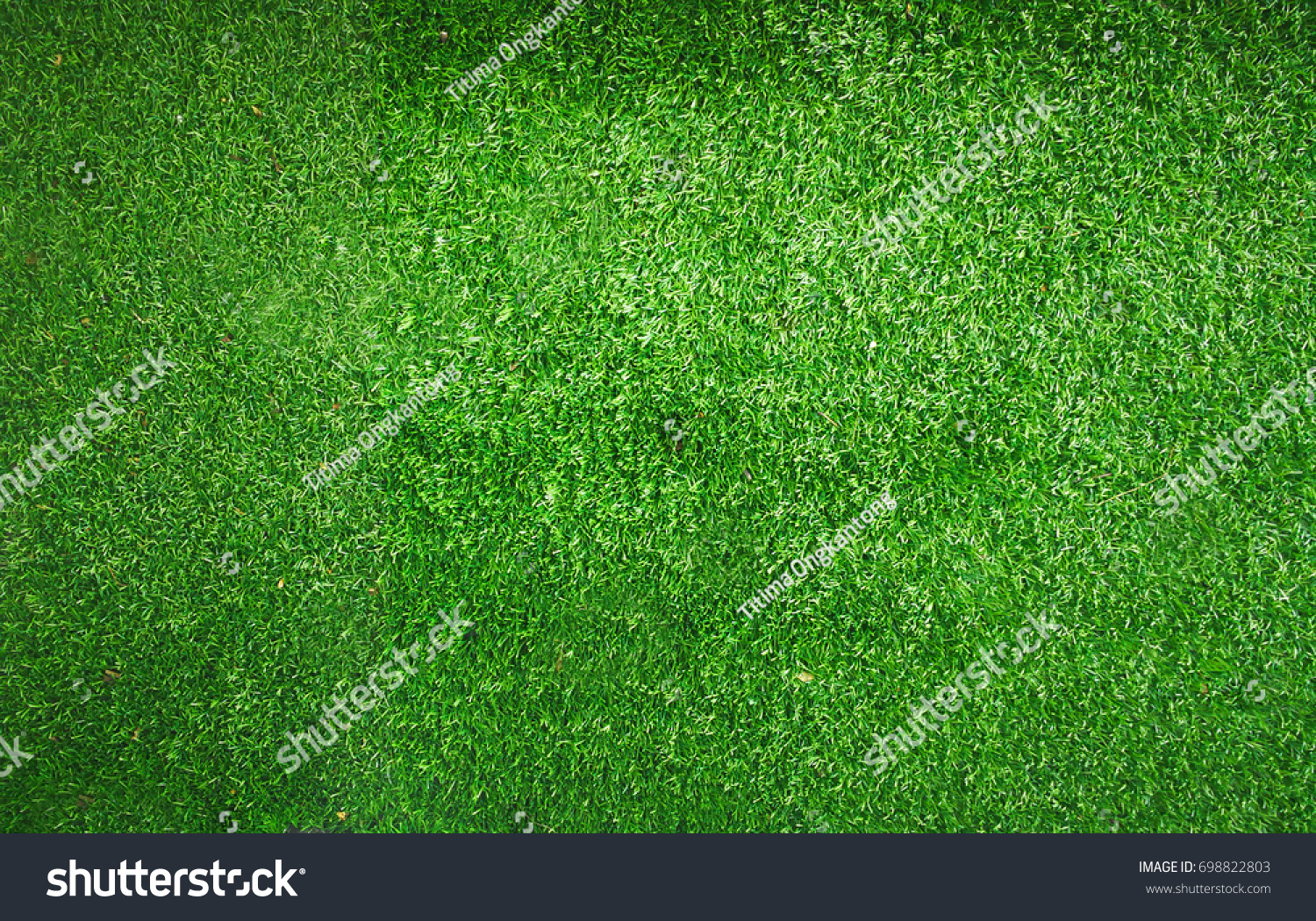 Grass Texture Background Stock Photo 698822803 | Shutterstock