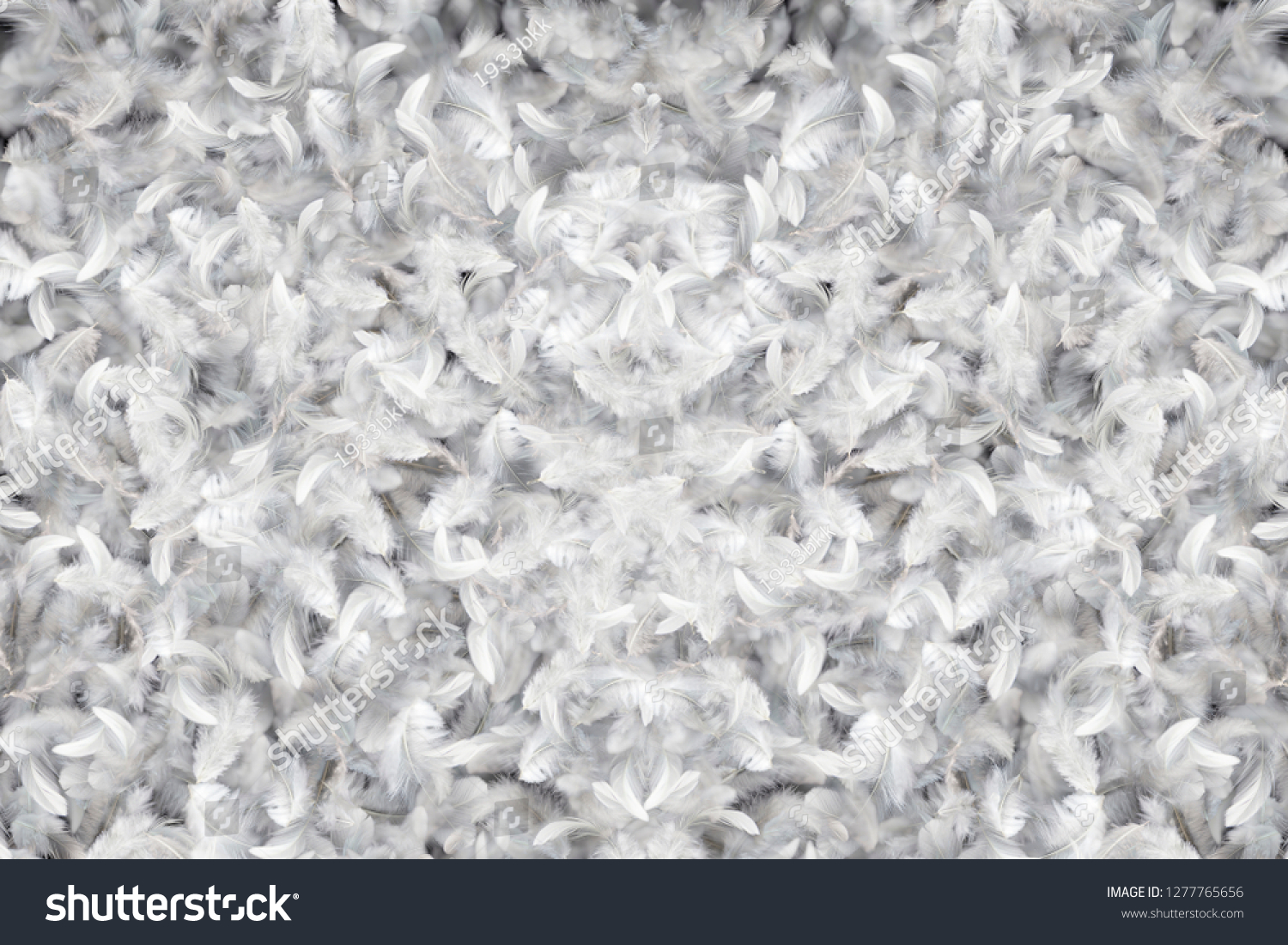 Gray Feathers Texture Background Stock Photo 1277765656 | Shutterstock