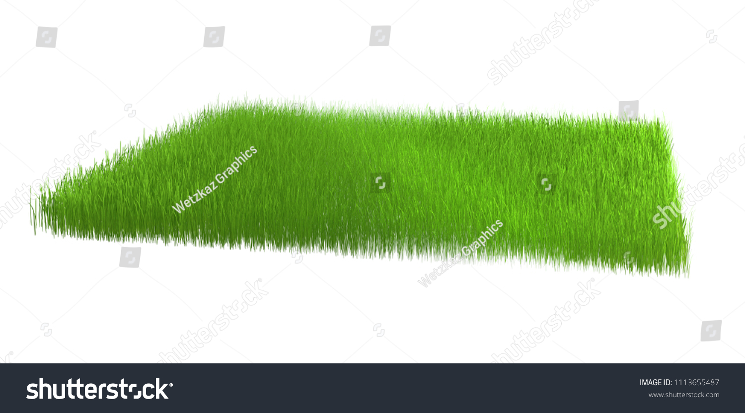 Green Grass 3d Rendering Stock Illustration 1113655487 | Shutterstock