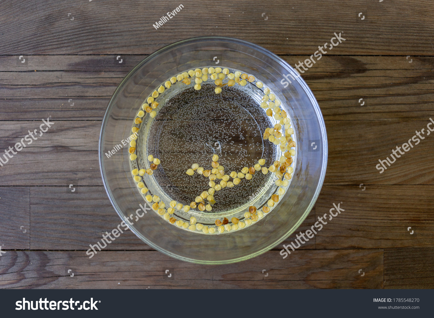 10.435 Floating seeds Gambar, Foto Stok & Vektor | Shutterstock