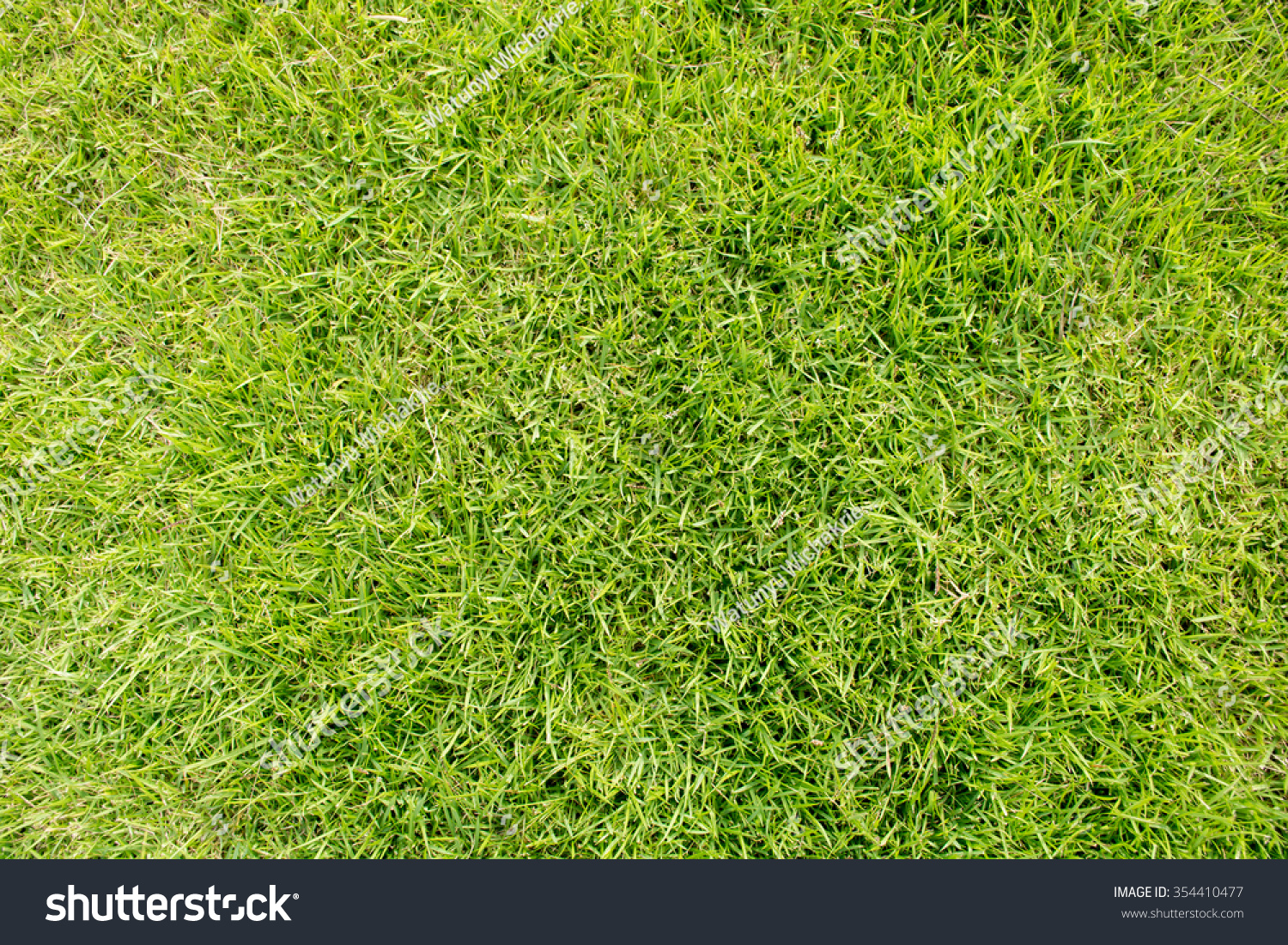 Gress Stock Photos, Images & Photography | Shutterstock