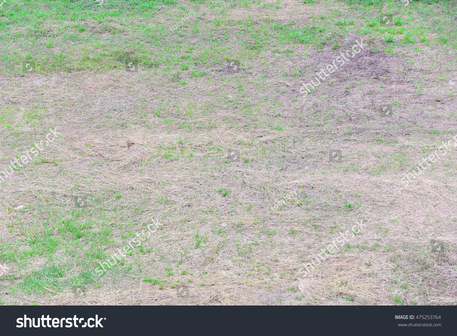 Ground Wall Texture Background Stock Photo (Edit Now) 475253764