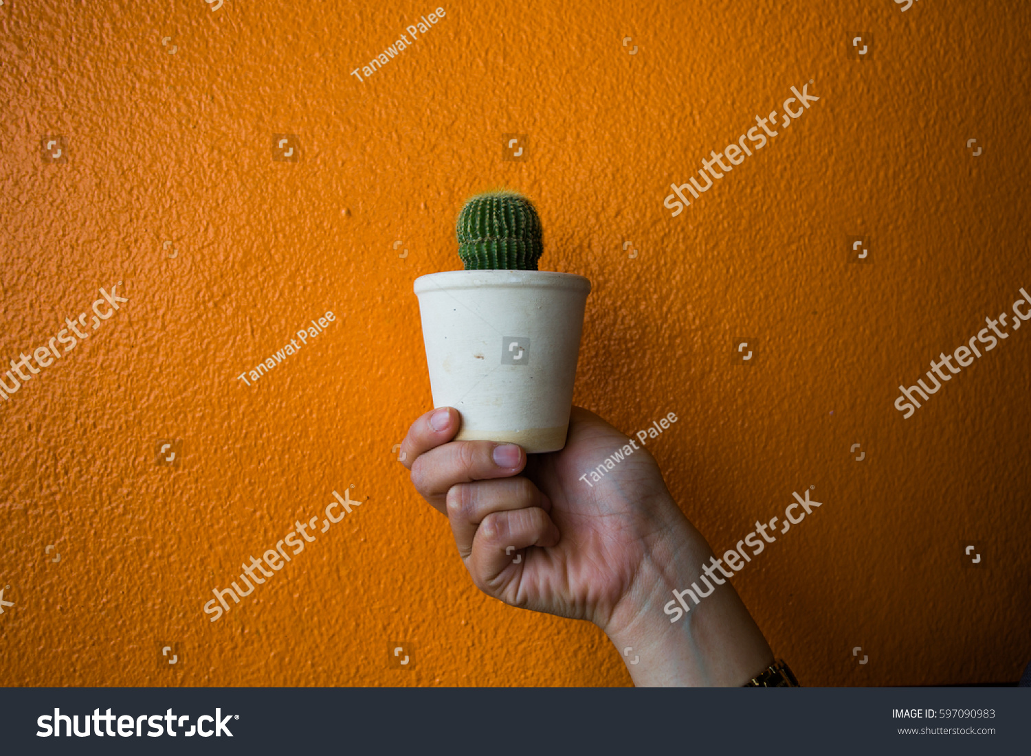 Hands Holding Objects Stock Photo 597090983 | Shutterstock