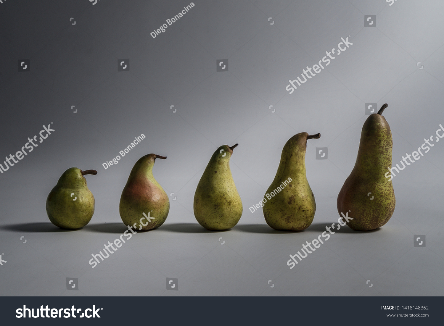 Human Evolution Made Pears Stock Photo (Edit Now) 1418148362
