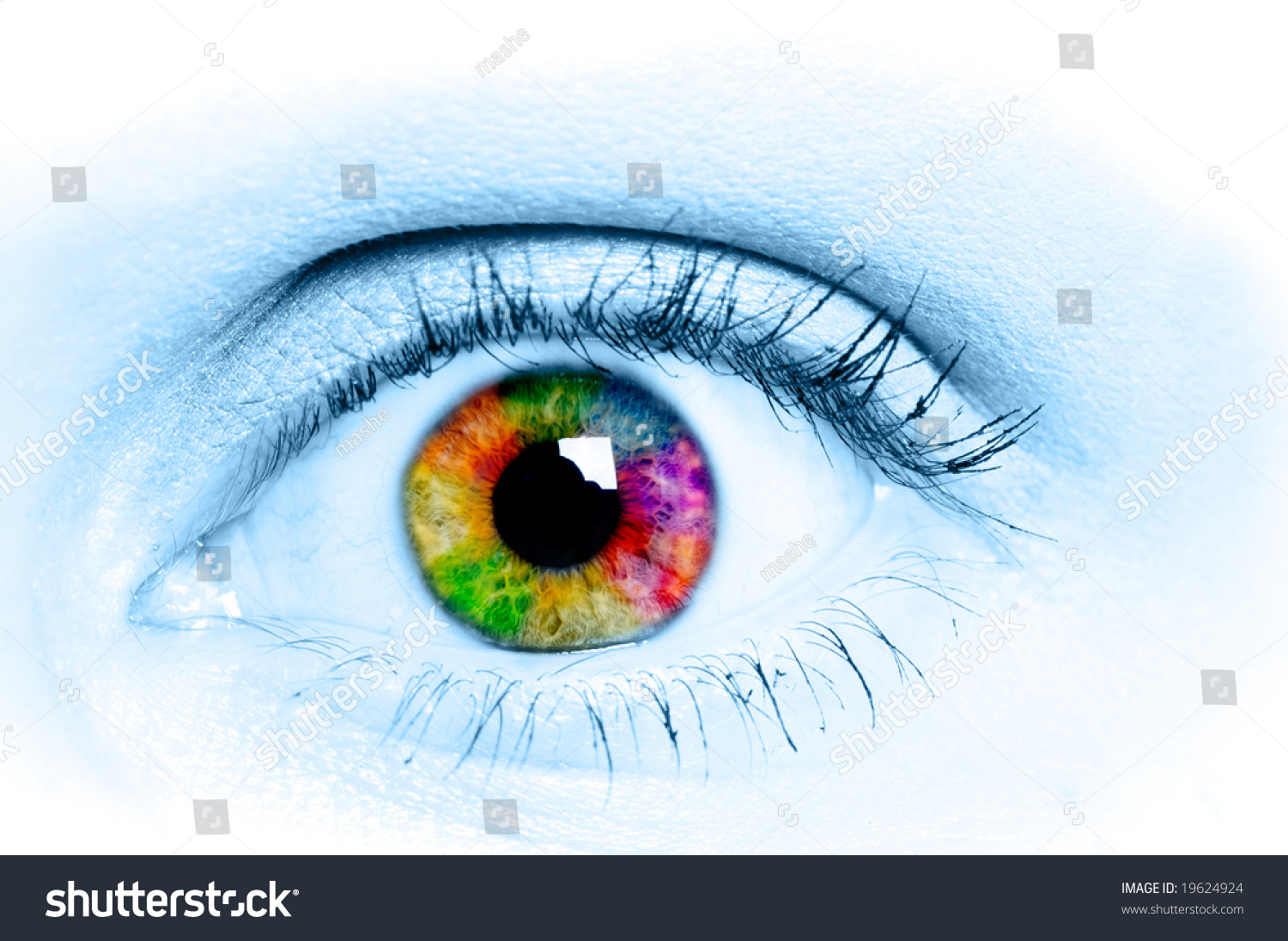 Human Eye Stock Photo 19624924 | Shutterstock