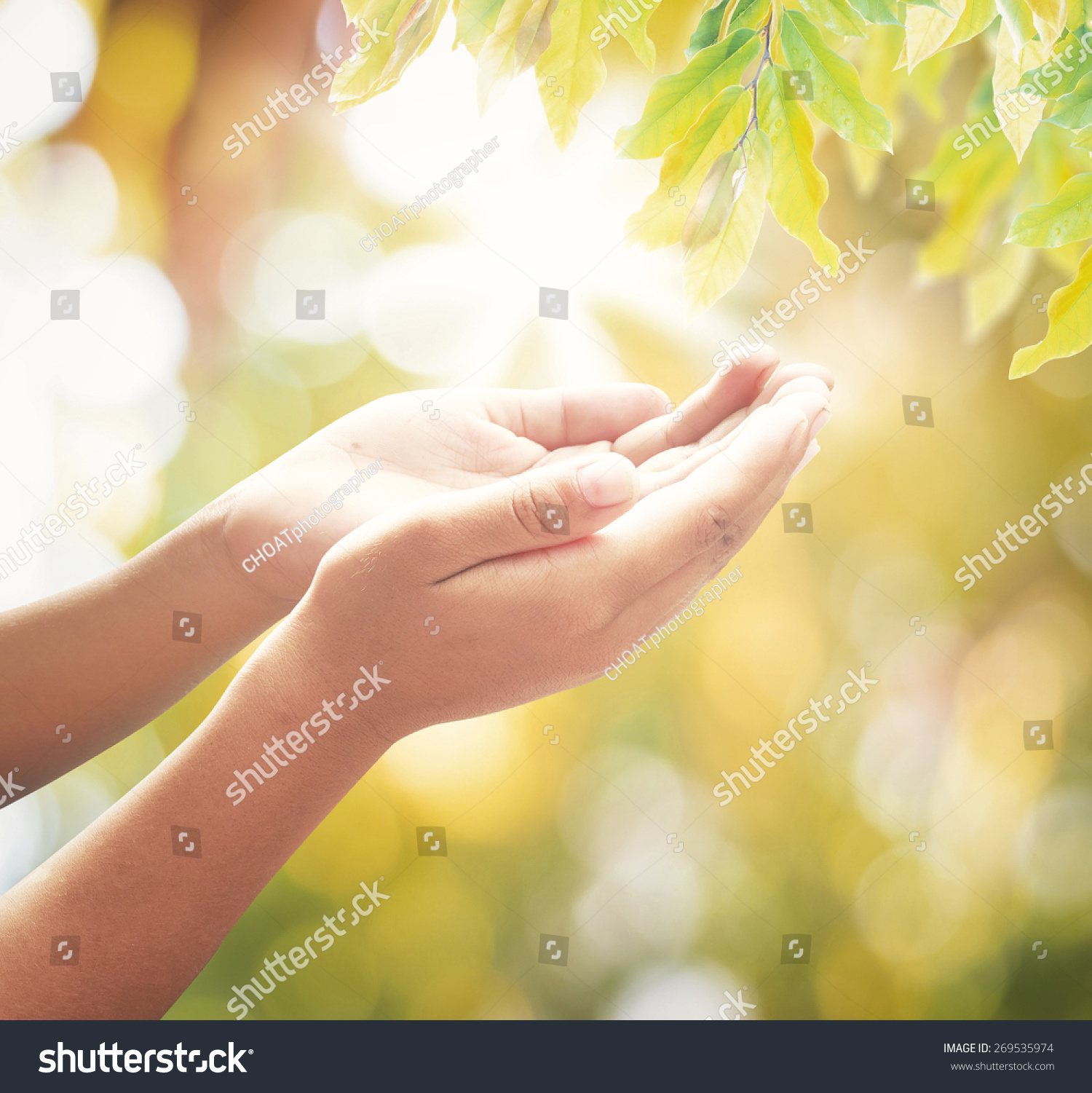 Human Open Empty Hands Stock Photo 269535974 | Shutterstock