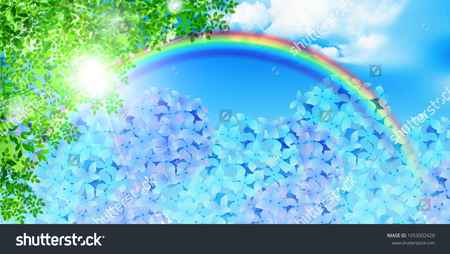 Hydrangea Rainy Season Flower Background Stock Illustration 1953002428 Hydrangea Rainy Season Flower Background Stock Illustration 1953002428