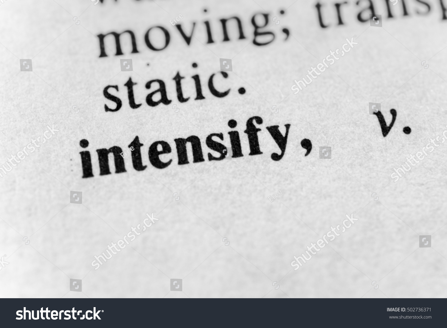 Intensify Stock Photo 502736371 | Shutterstock